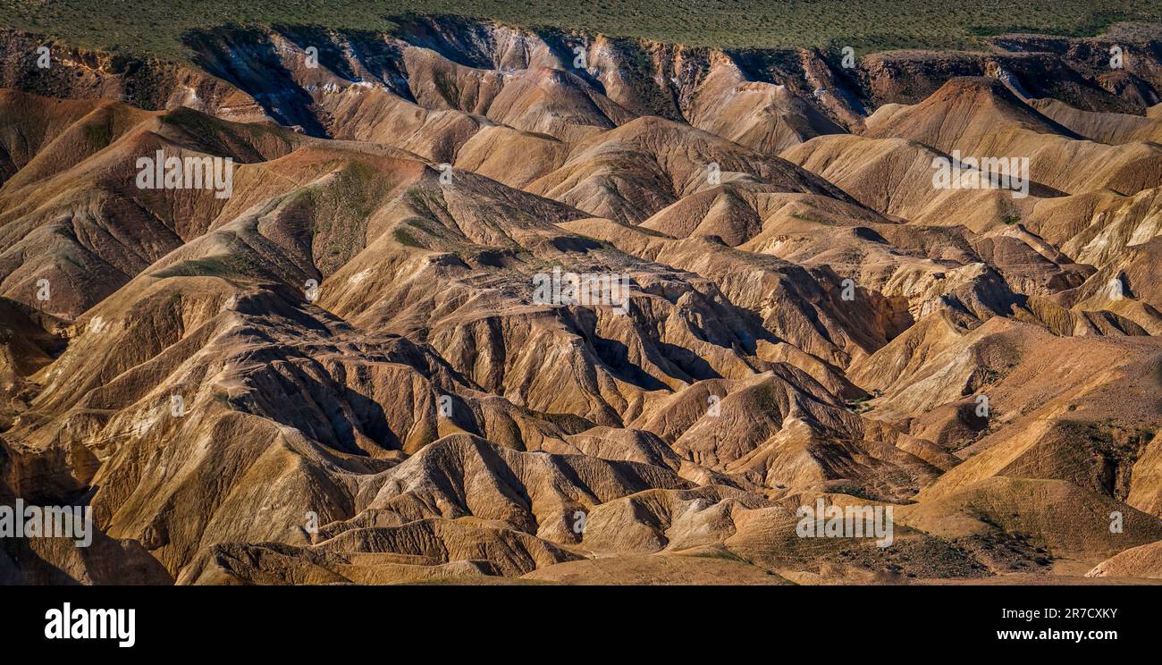ZIN VALLEY NATURE RESERVE NEGEV ISRAEL Stock Photo - Alamy