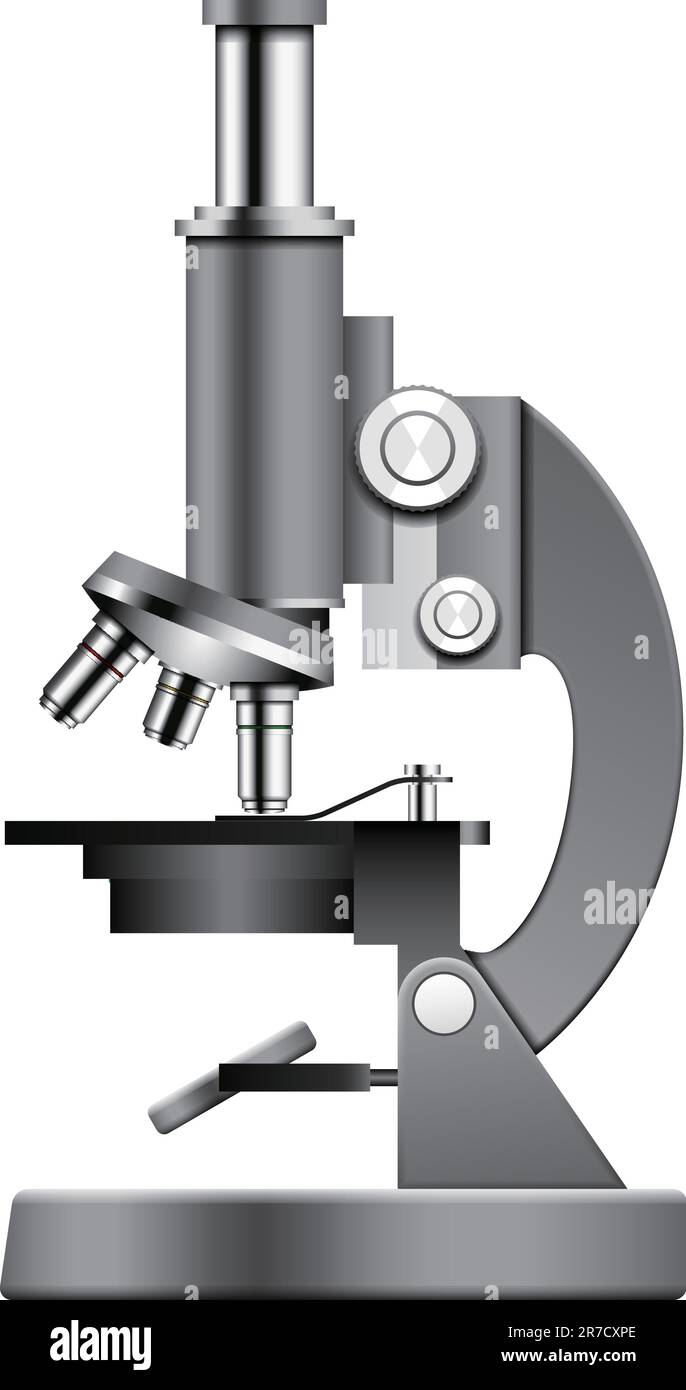 Layered vector illustration of Microscope Stock Vector Image & Art - Alamy