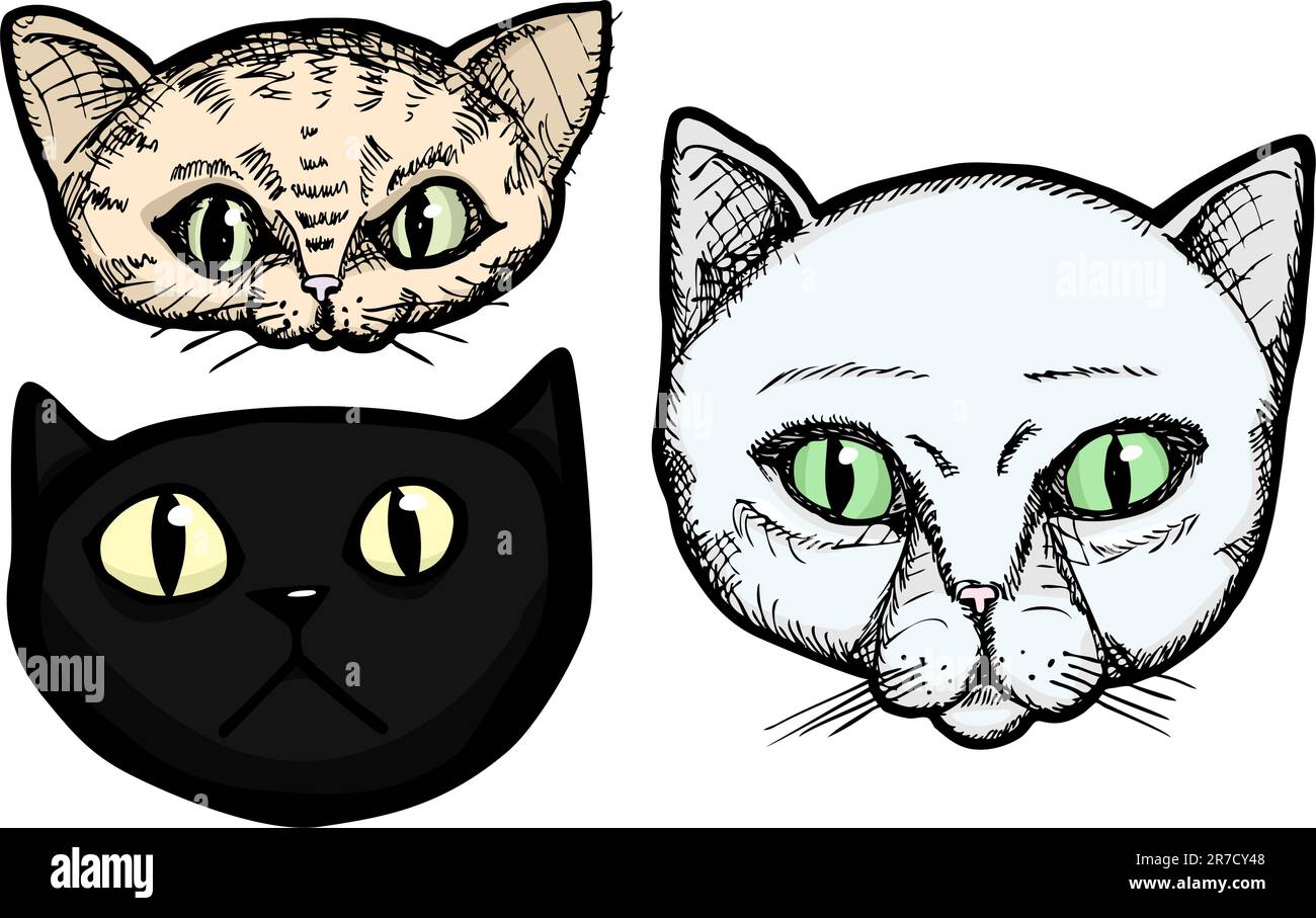 Three hand-drawn cat head portrait illustrations isolated on a white ...