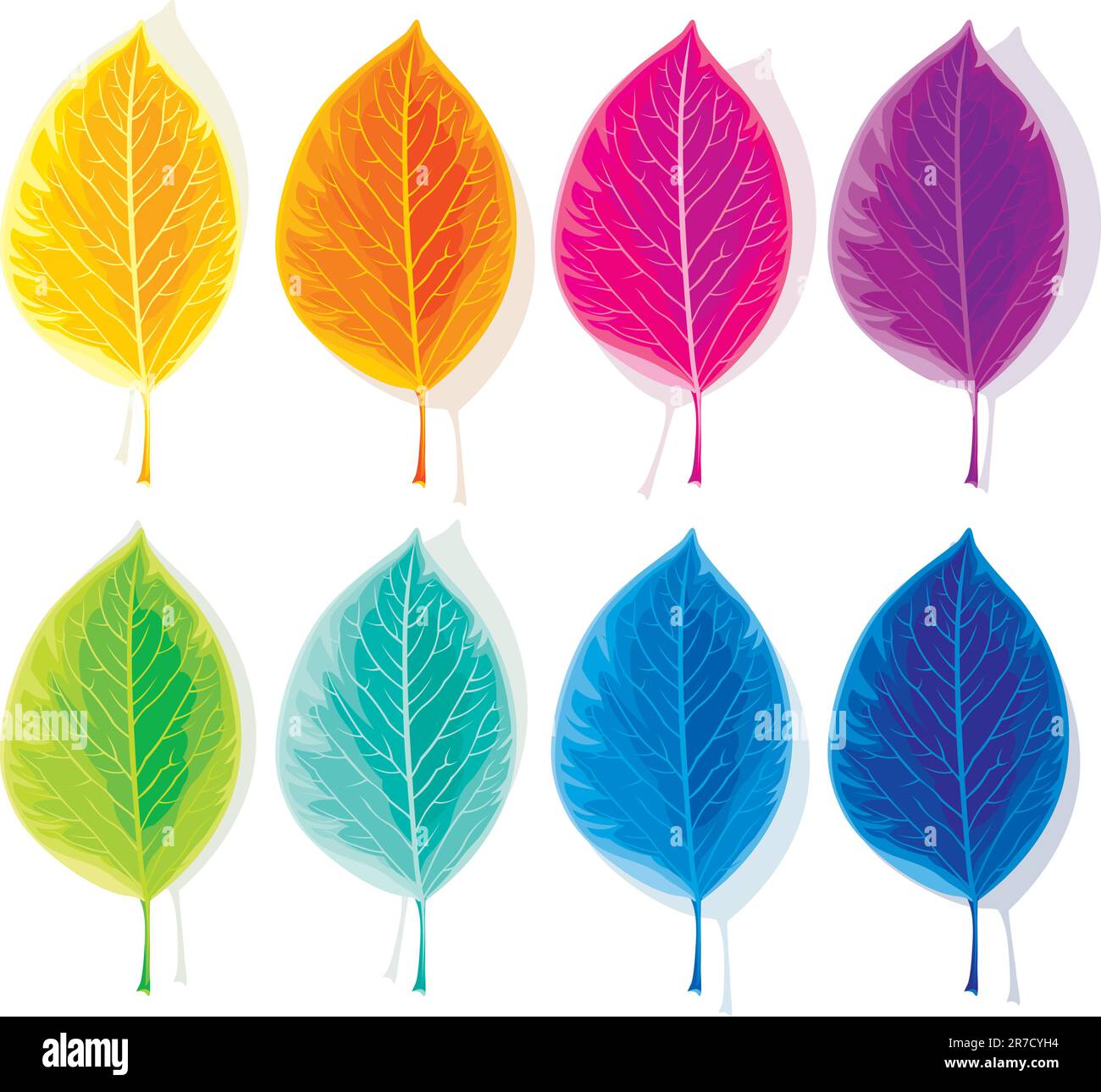 Eight leaves hi-res stock photography and images - Alamy