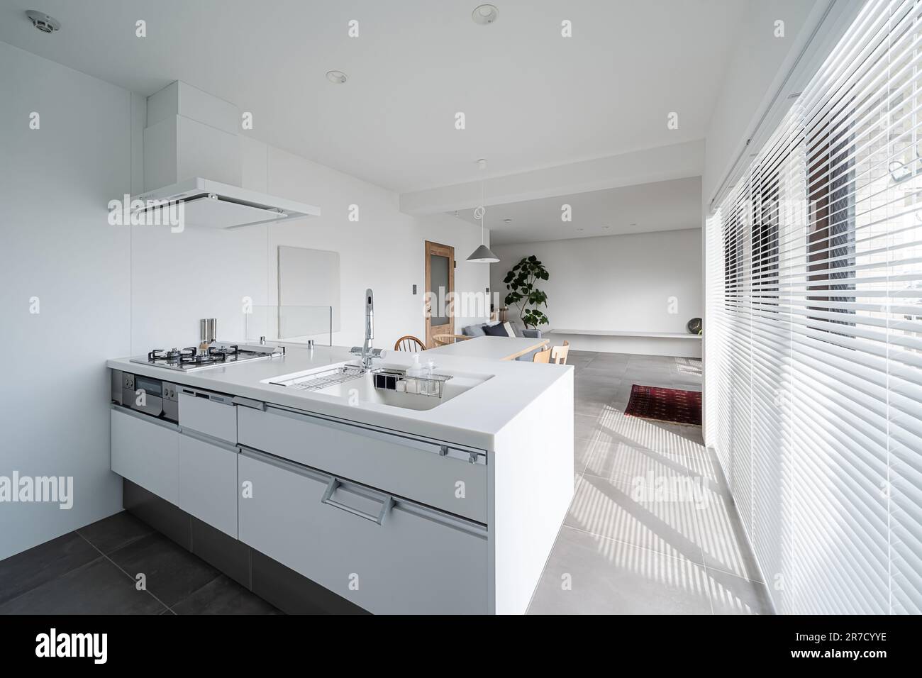 Simple modern style kitchen in white Stock Photo - Alamy