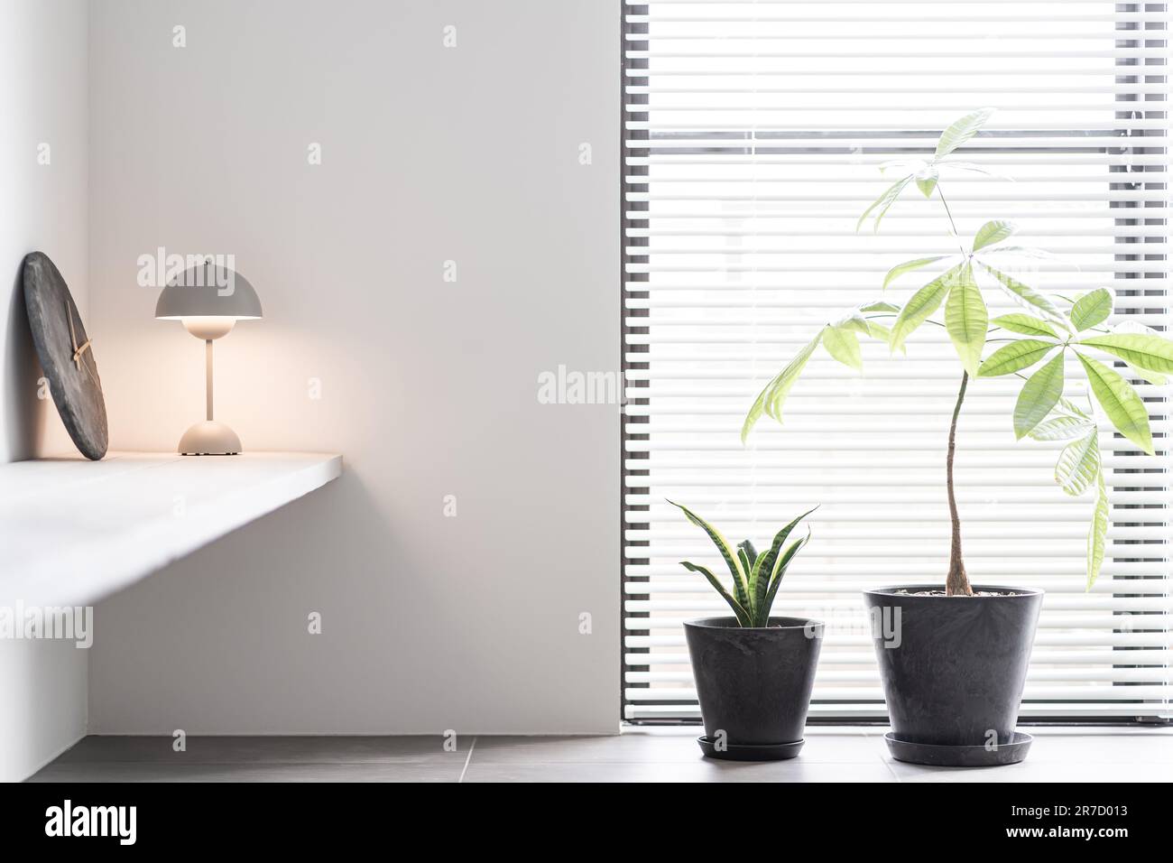 A clock, a light stand, and a foliage plant Stock Photo - Alamy