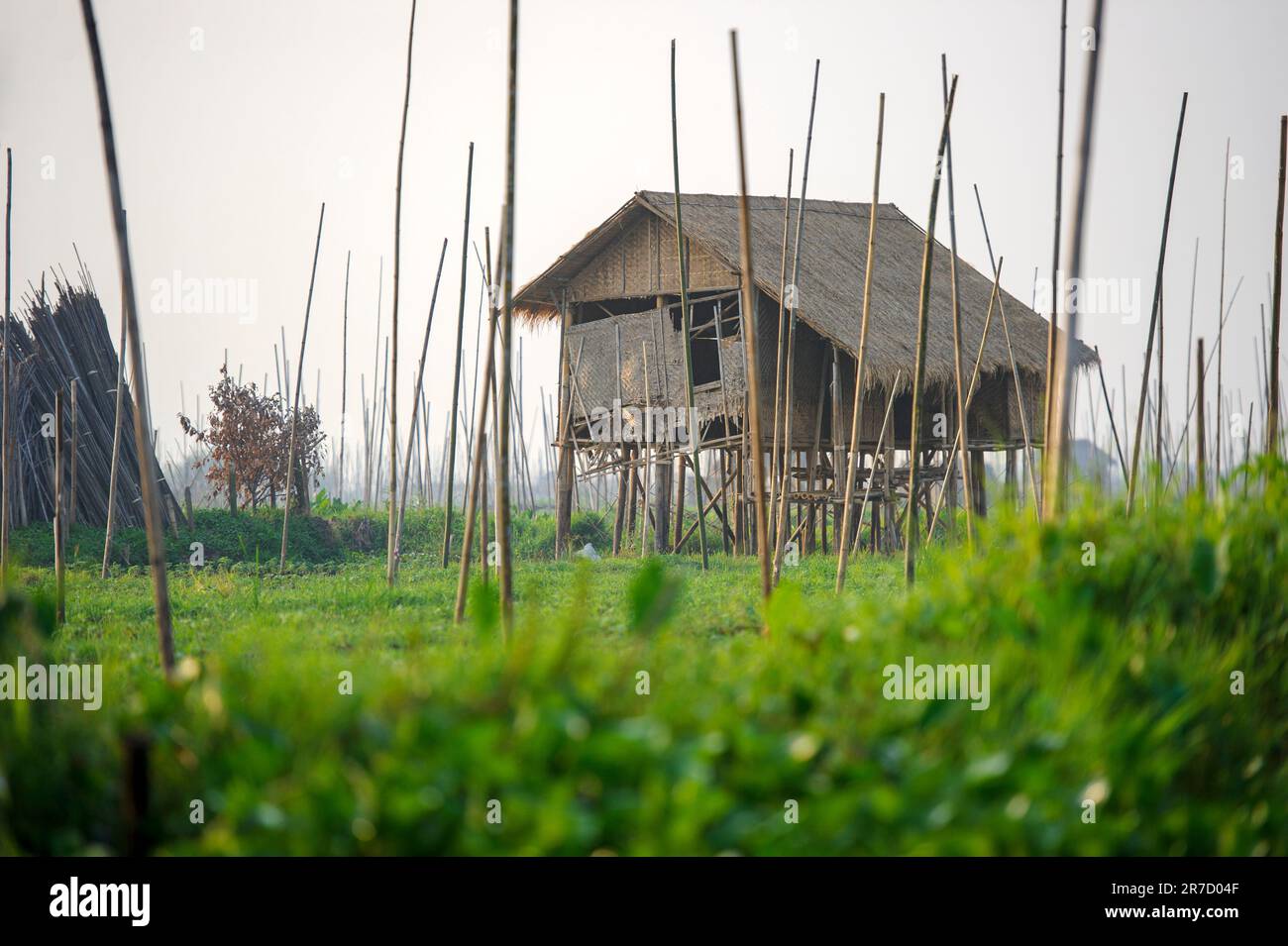 Houses and floating gardens in Maya Ni Gone village Inle Lake, Myanmar ...