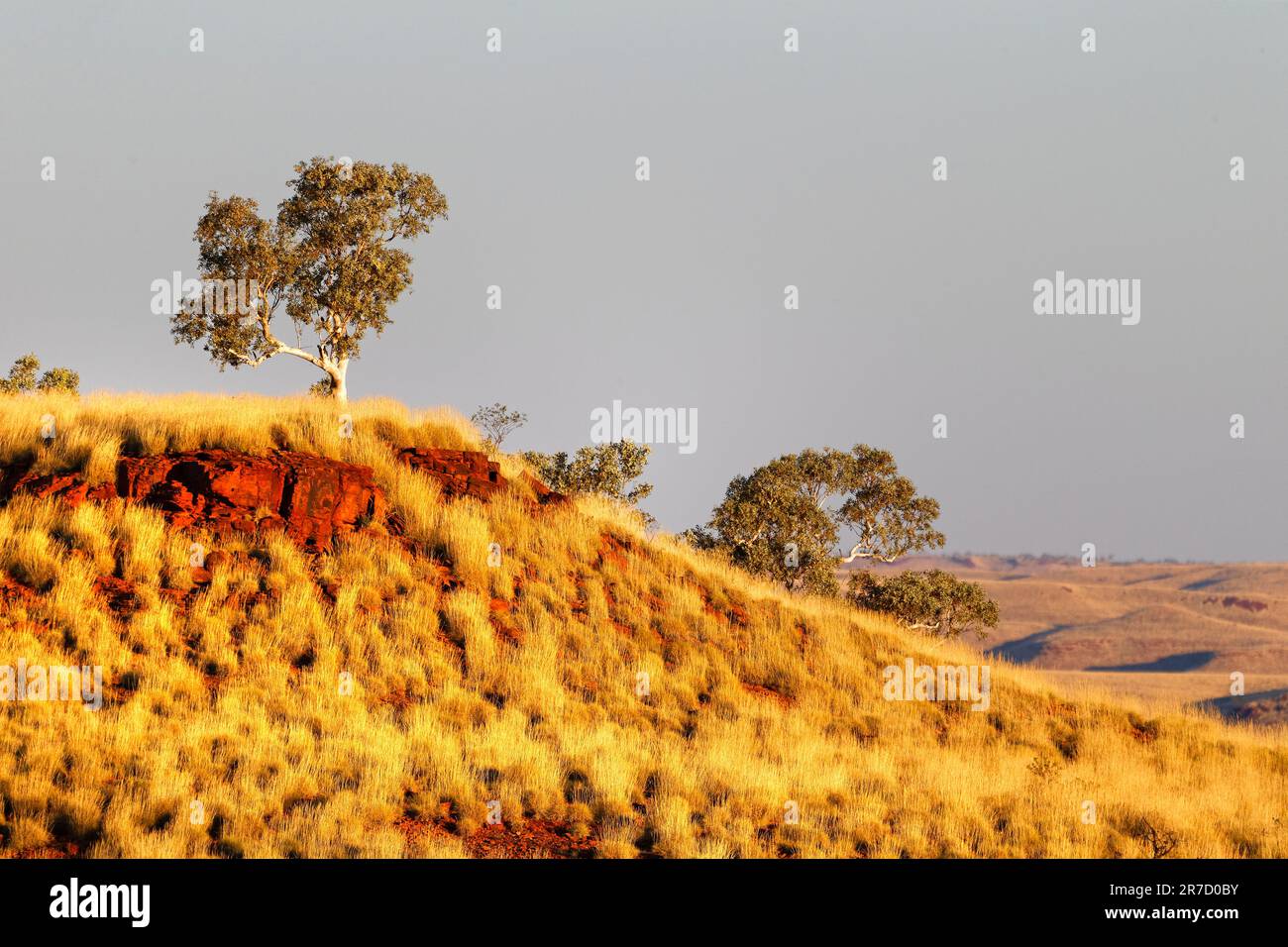 Australian ranges hi-res stock photography and images - Alamy