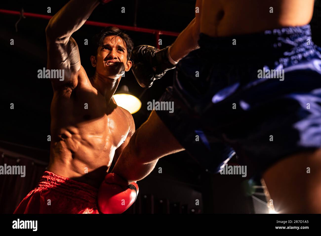 Muay Thai Fighter Body