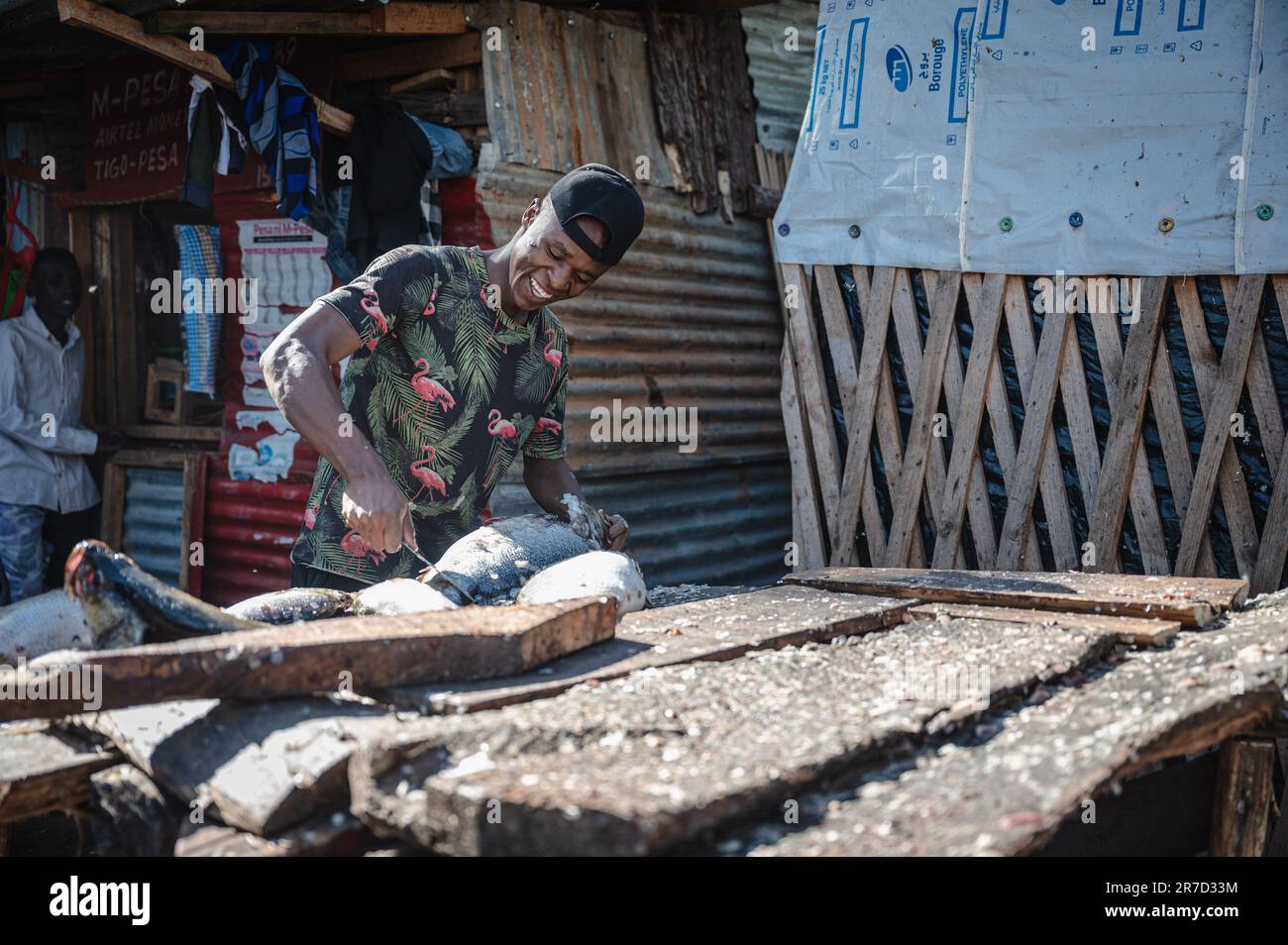 Mwanza. 11th June, 2023. A villager removes fish scales on the shore of ...