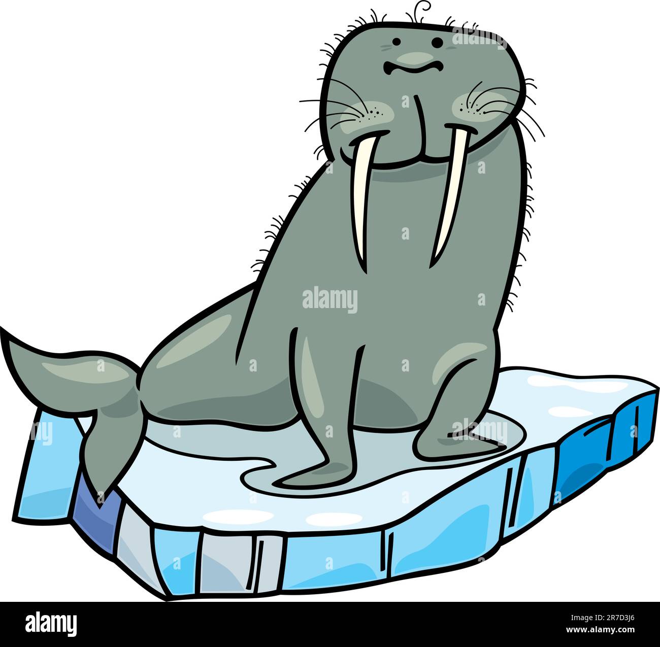 cartoon illustrationof walrus on floating ice Stock Vector Image & Art ...