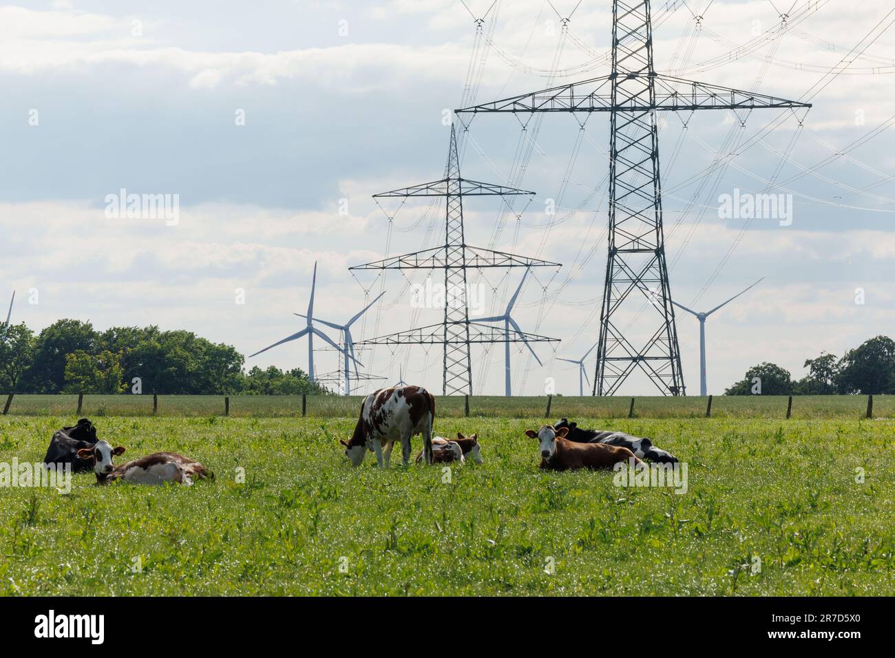 Brilon, Germany. 14th June, 2023. View of wind turbines and overhead ...