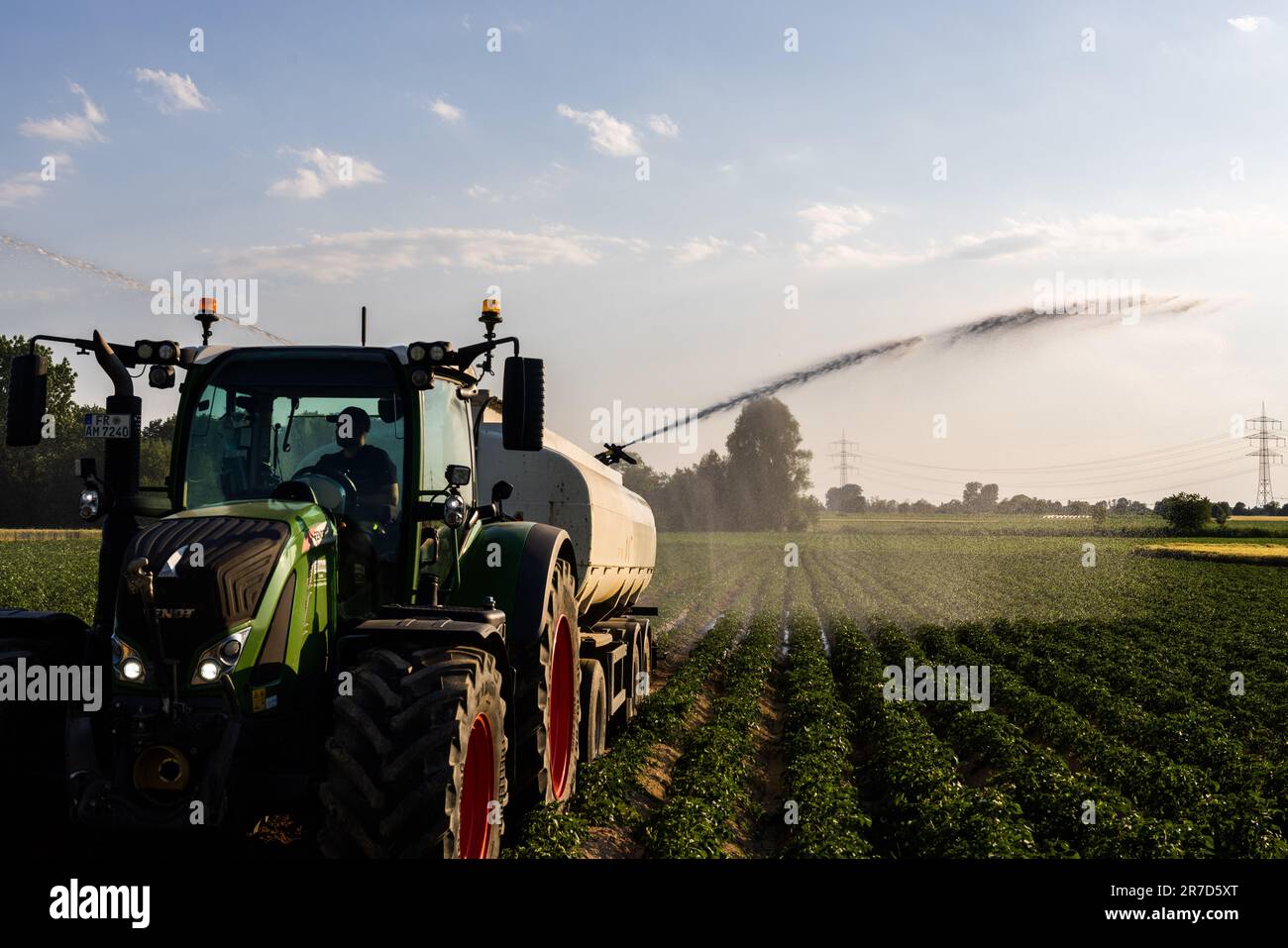 Ehrenkirchen, Germany. 14th June, 2023. A farmer sprays water from a ...
