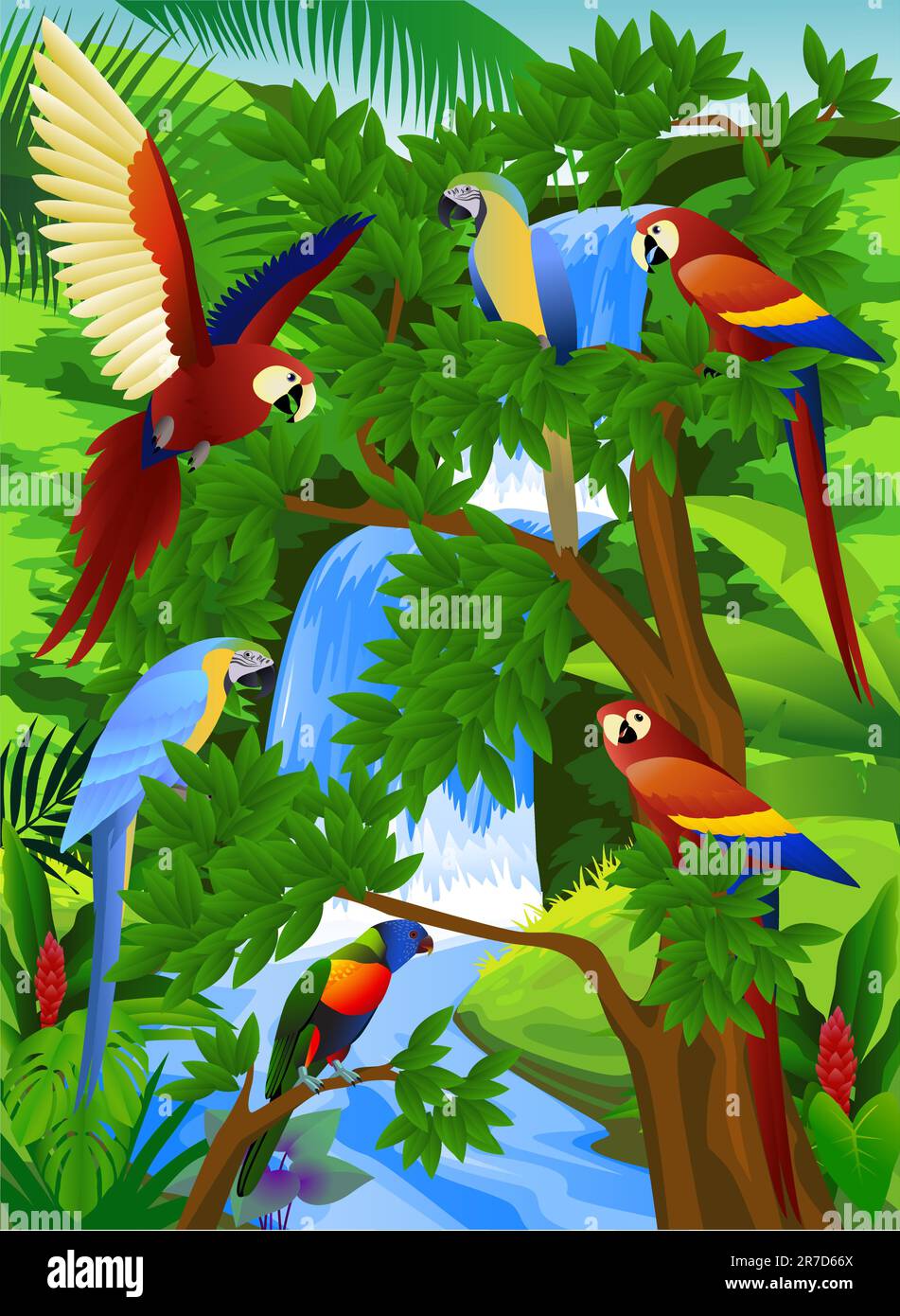 Parrot bird in the nature Stock Vector Image & Art - Alamy