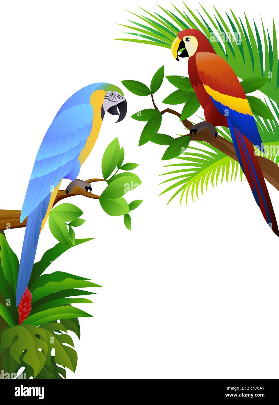 Parrot bird vector Stock Vector Image & Art - Alamy