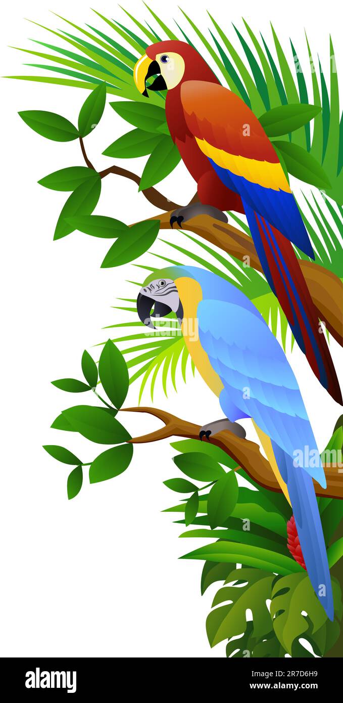 Parrot bird vector Stock Vector Image & Art - Alamy