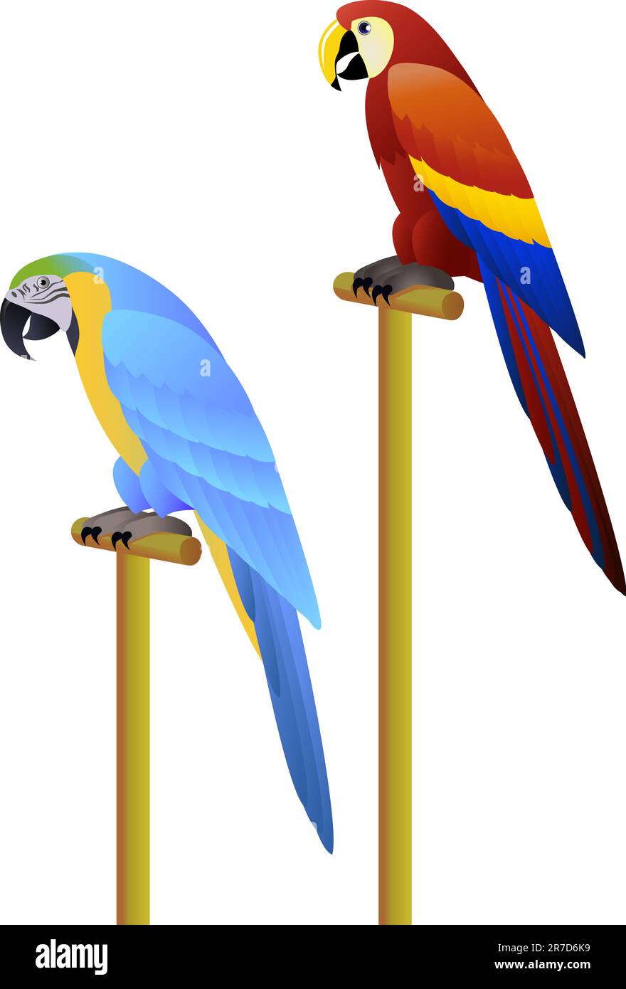 Parrot bird vector Stock Vector Image & Art - Alamy