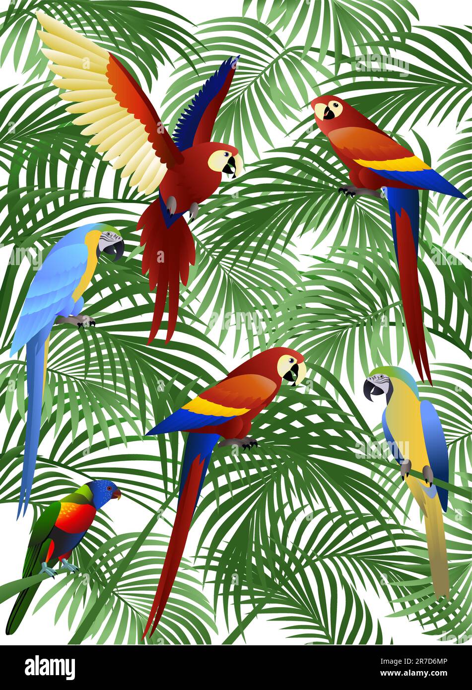 Parrot bird vector Stock Vector Image & Art - Alamy