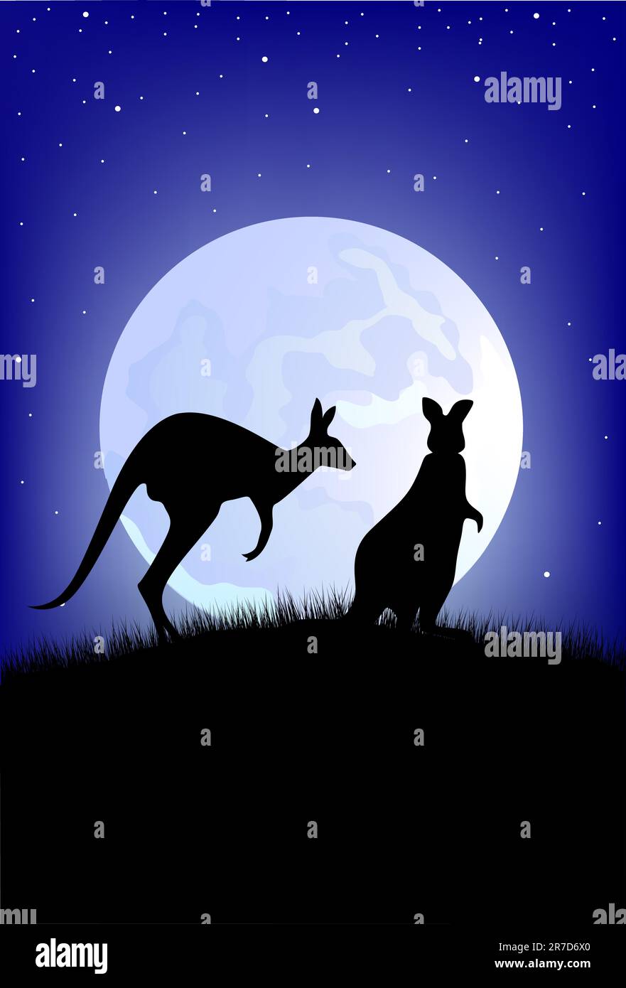Wild australian outback Stock Vector Images - Alamy