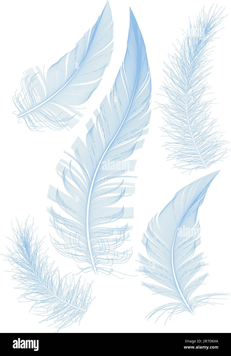 set of smooth blue feather, vector Stock Vector Image & Art - Alamy