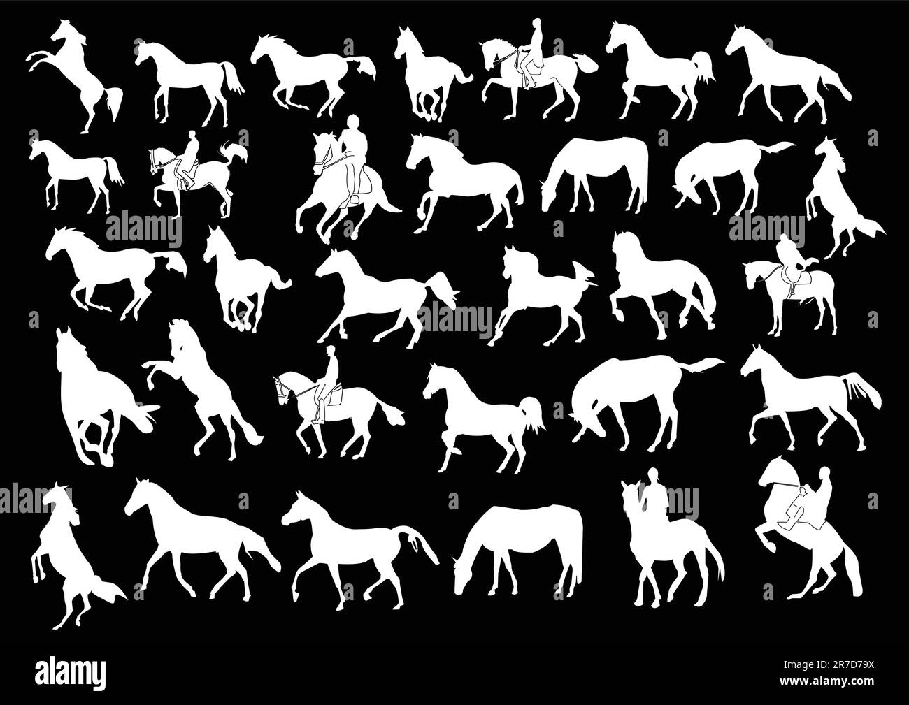 horses collection - vector Stock Vector Image & Art - Alamy