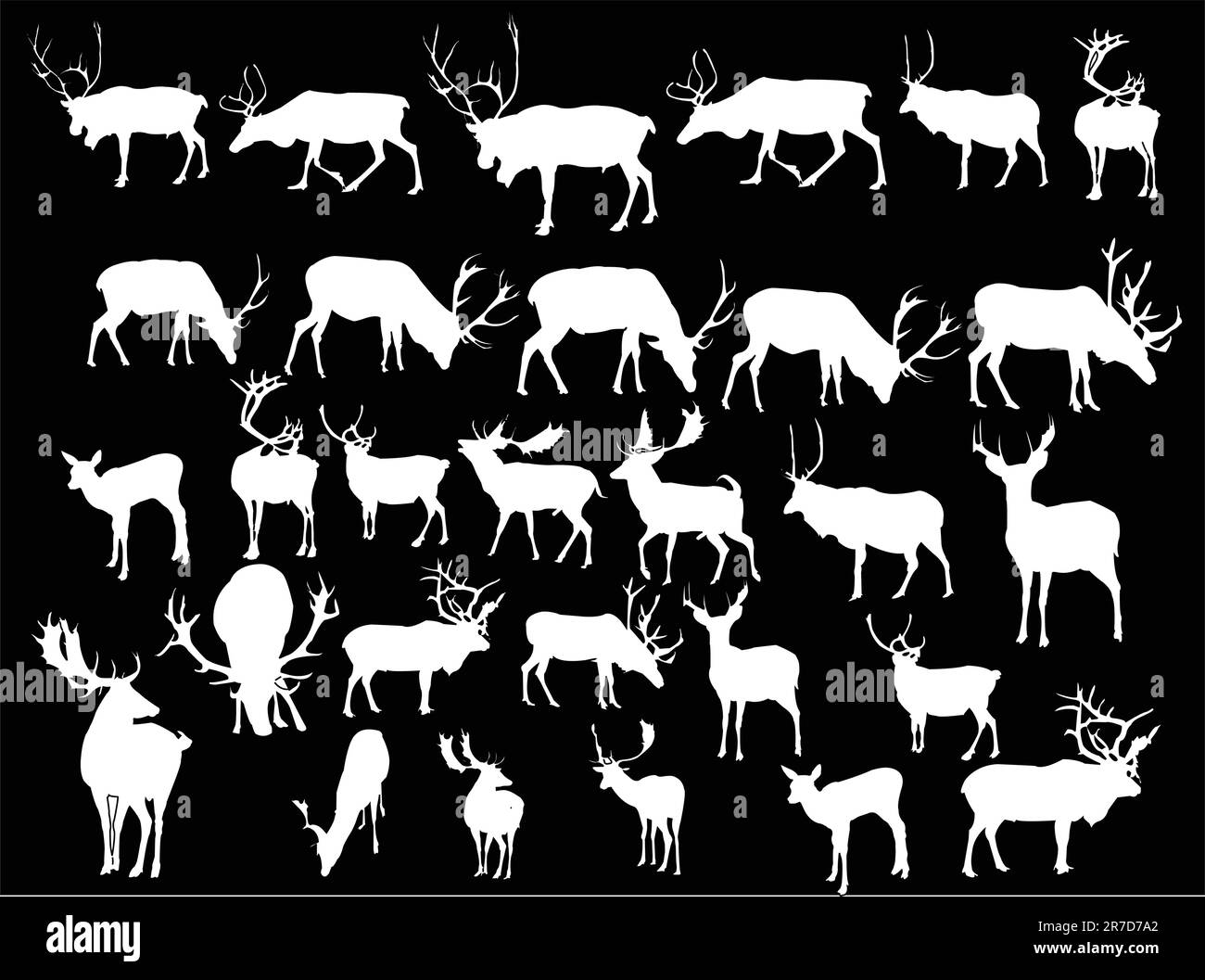 deer collection - vector Stock Vector Image & Art - Alamy