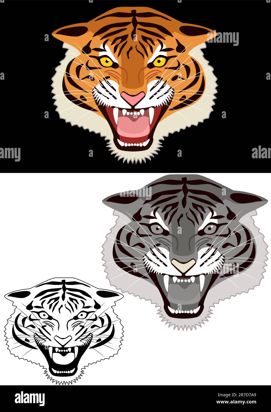 Vector illustration of Tiger head illustration Stock Vector Image & Art ...