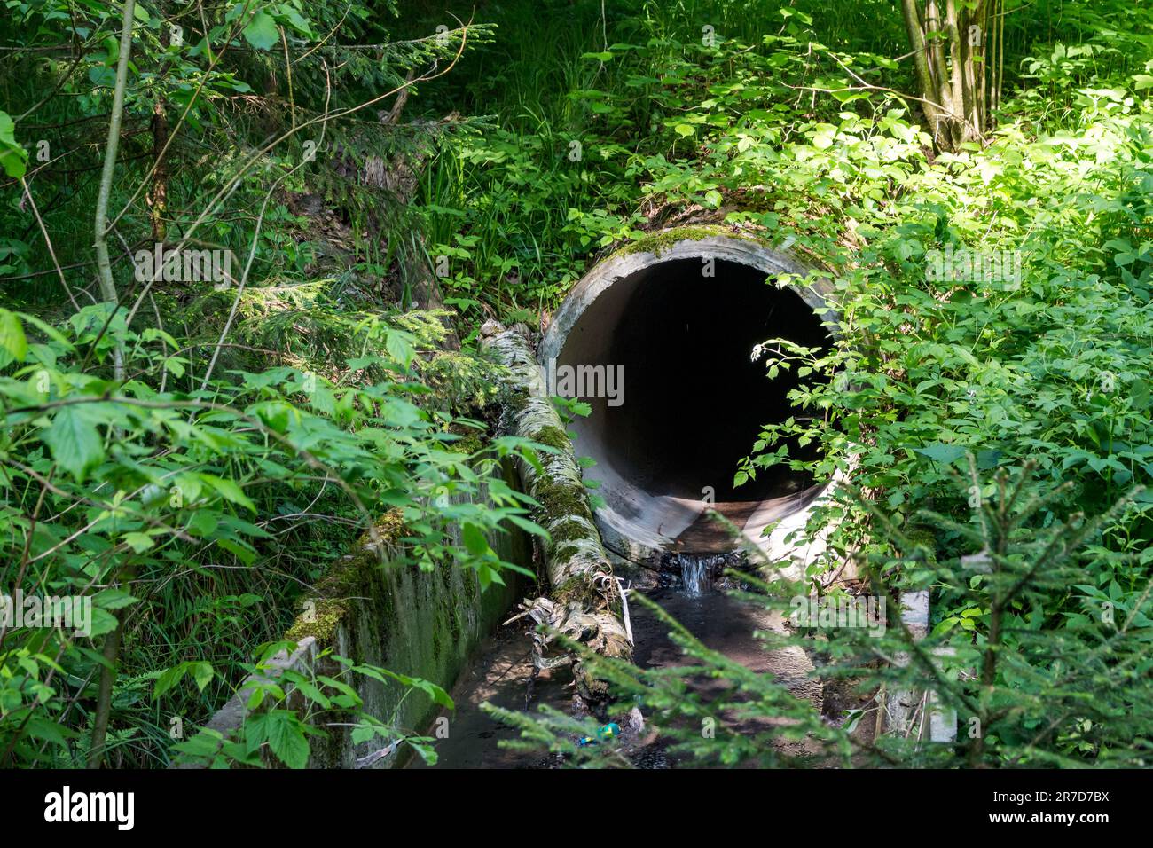Storm drain pipe leading into a forest ravine Stock Photo - Alamy