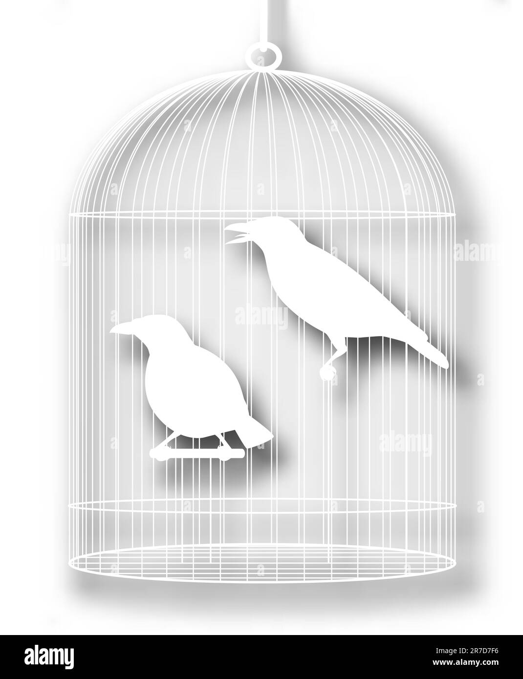 Editable vector illustration of a pair of caged myna birds with ...