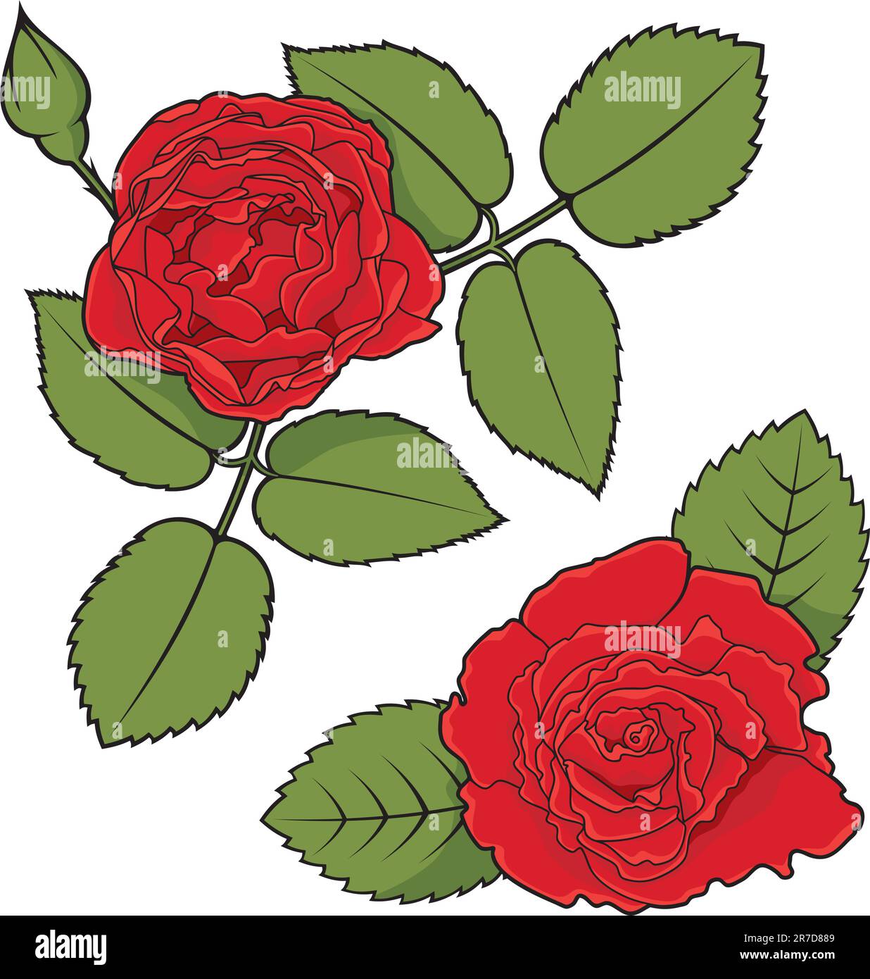 Illustration of two decorative rose corners isolated on white ...