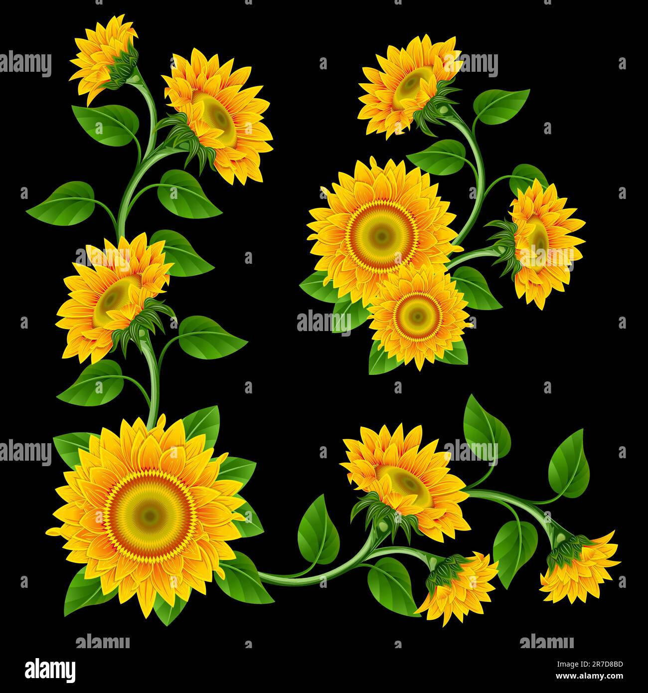 Yellow sunflowers on the black background. Design element Stock Vector ...