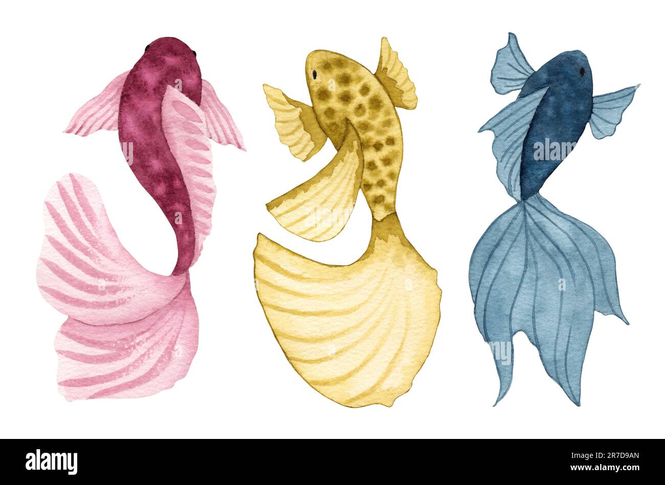 Set of stylized fish.Sea animals.Simple design.Pink,yellow,blue ...