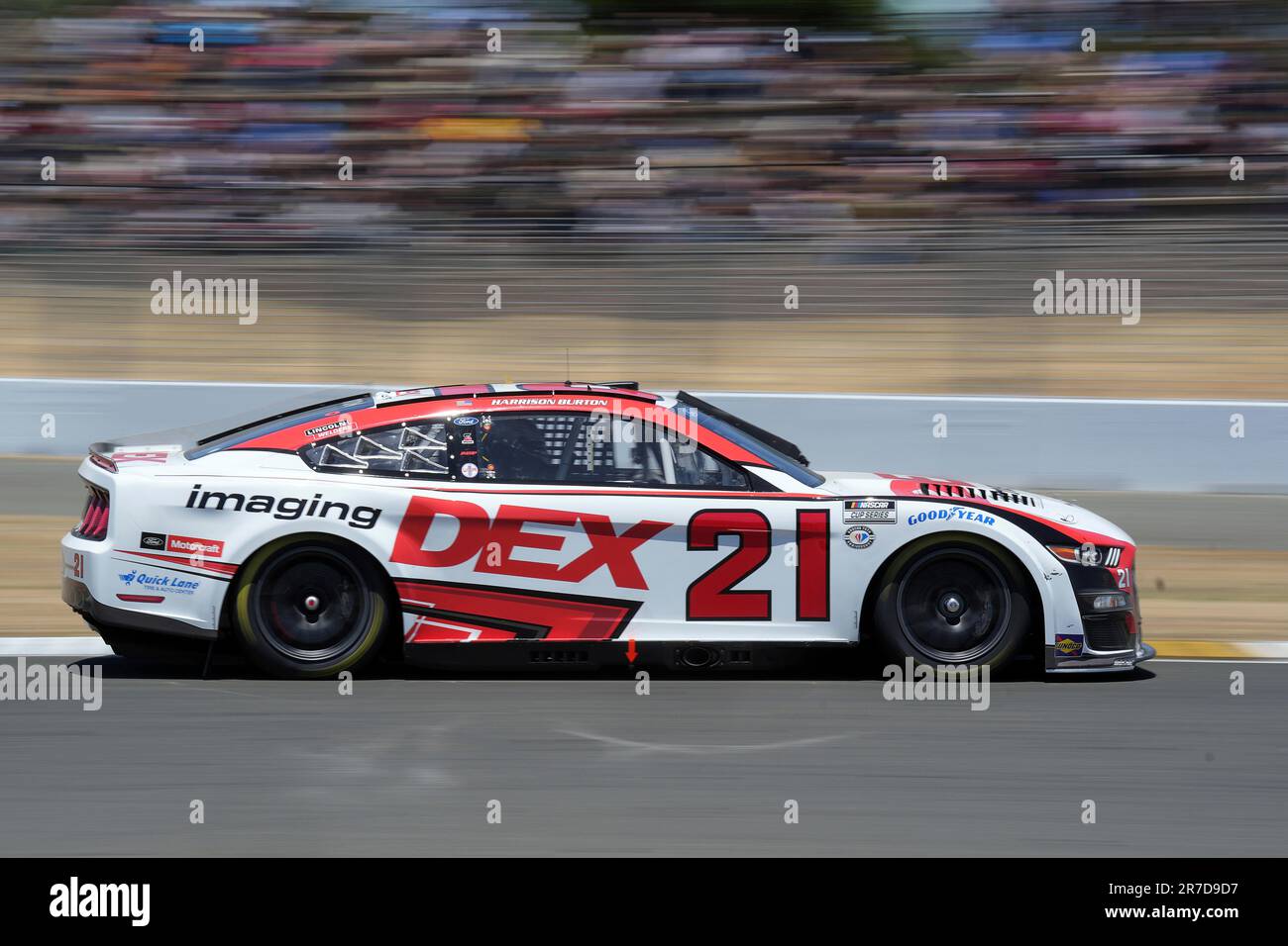 Harrison Burton (21) drives during a NASCAR Cup Series auto race at ...
