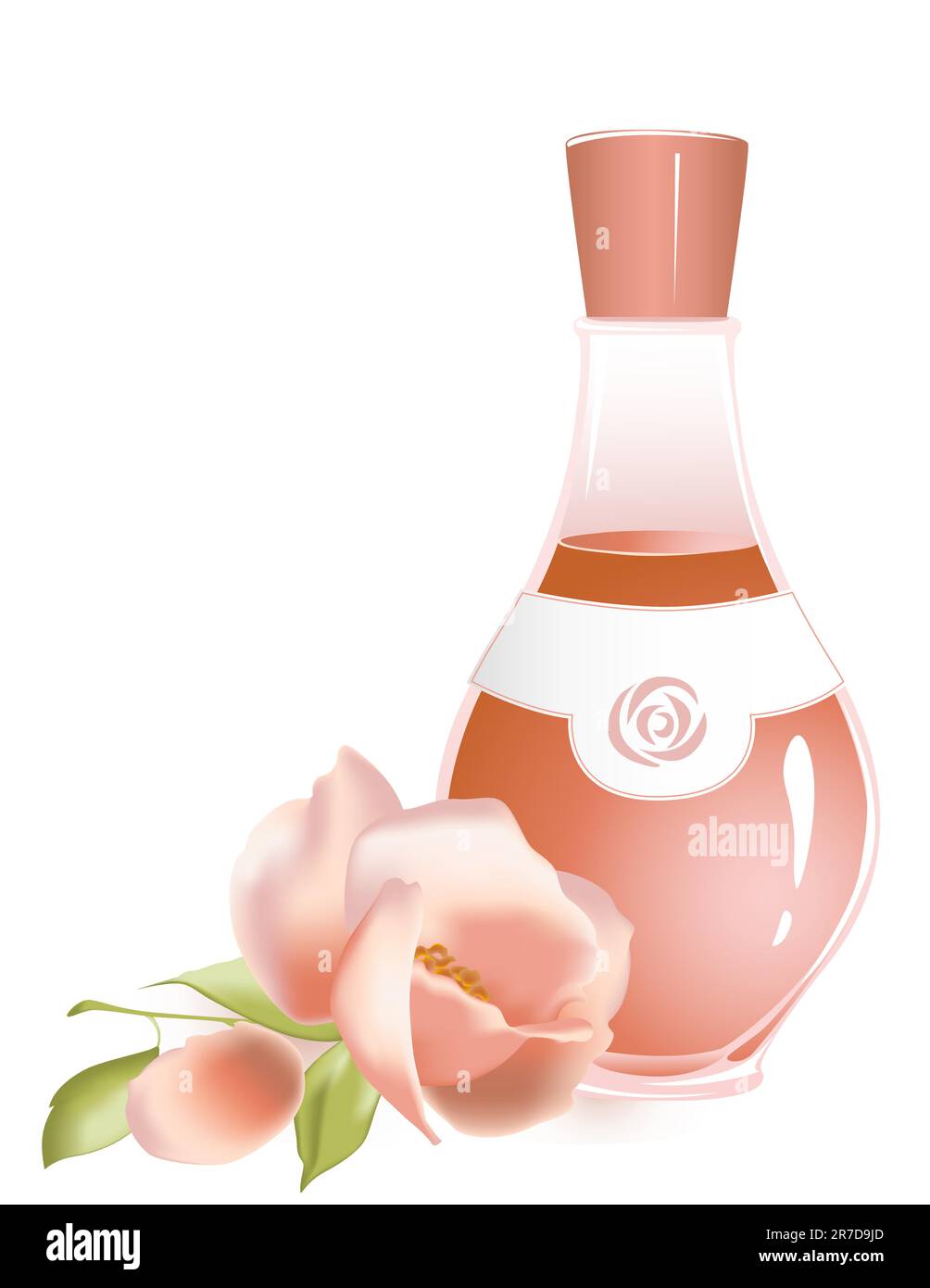 rose oil and flower of rose on a white background Stock Vector Image ...