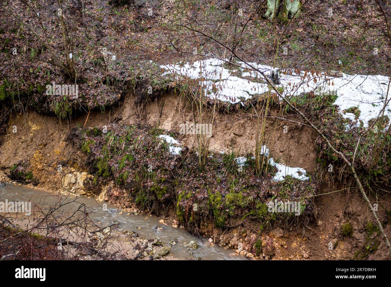 A small landslide on the clay slope of the ravine due to water washout Stock Photo - Alamy
