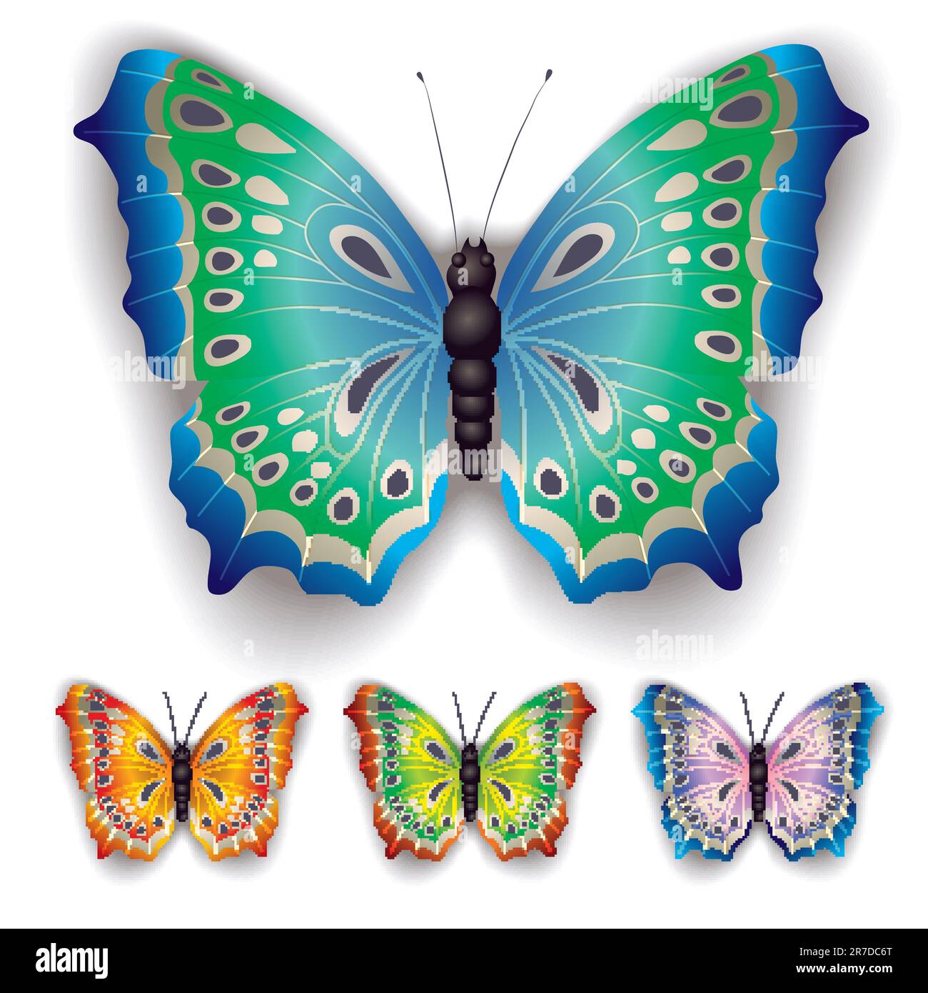 Butterfly full view Stock Vector Images - Alamy