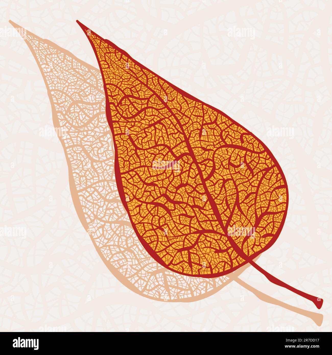 Falls branch Stock Vector Images - Alamy