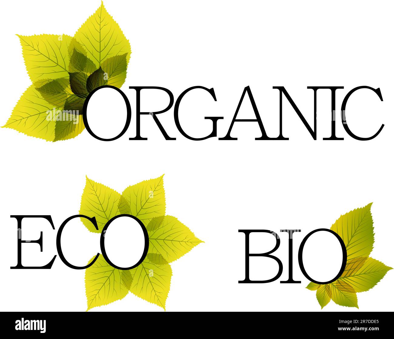 Detailed labels hi-res stock photography and images - Alamy