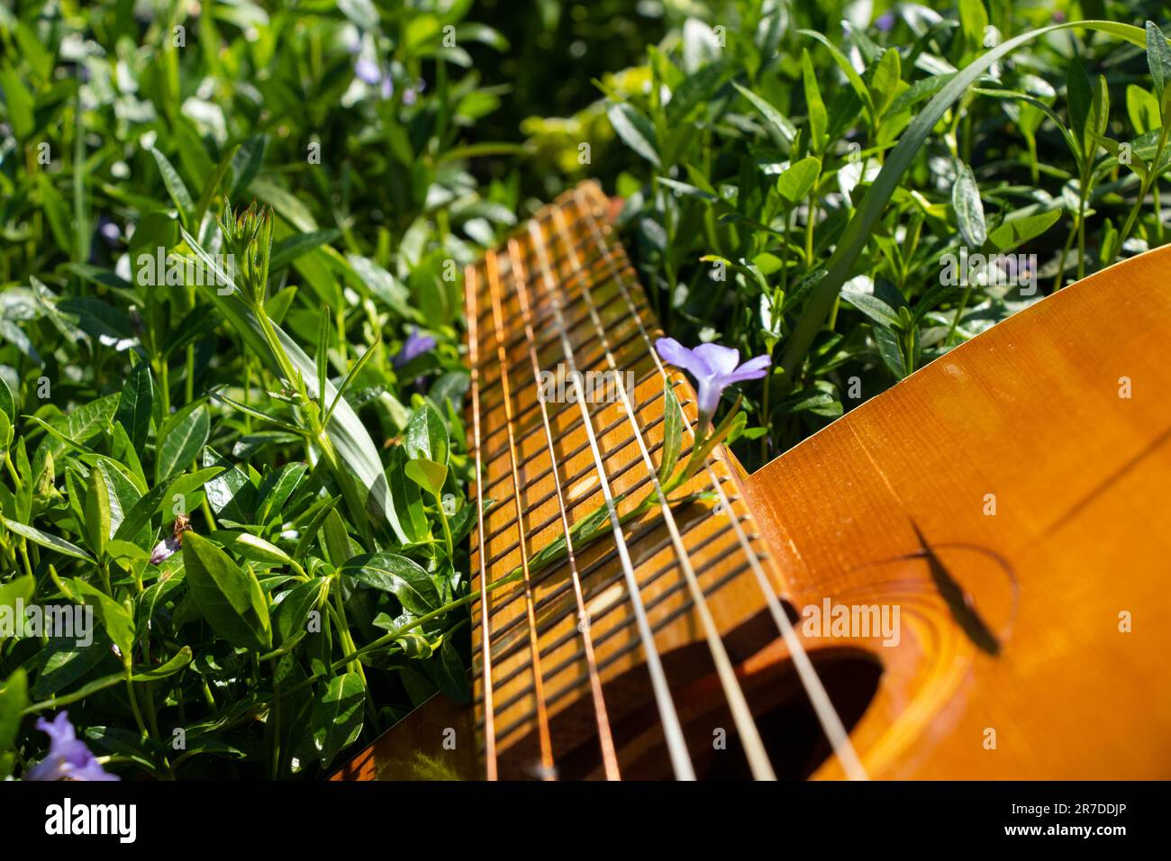 Music note grass hi-res stock photography and images - Alamy