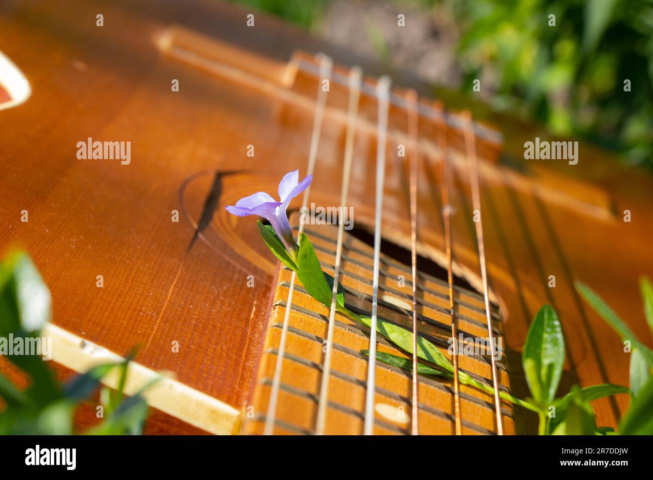 Guitar ideas hi-res stock photography and images - Alamy