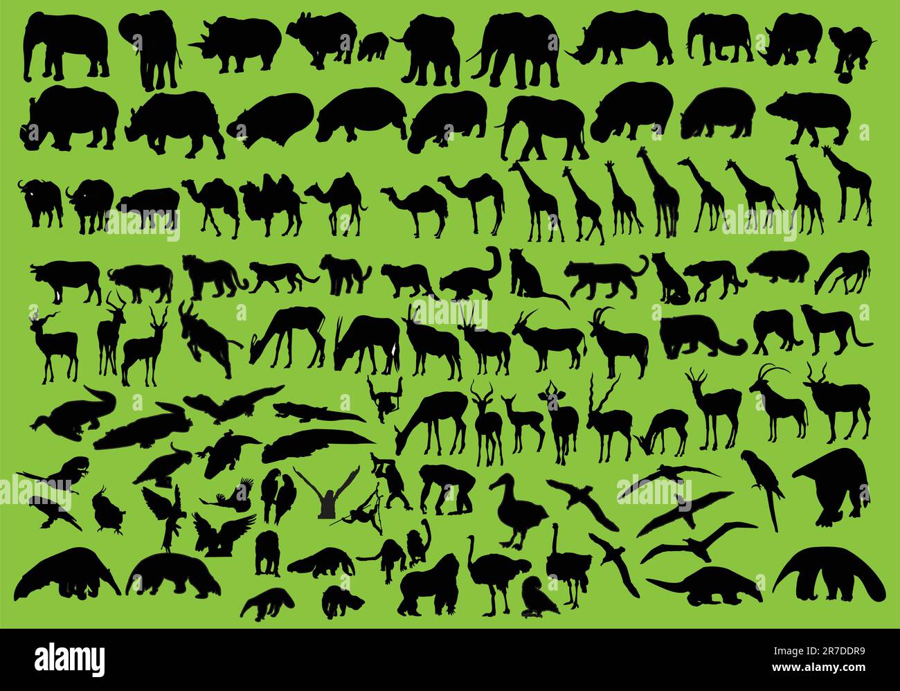 animals mix collection - vector Stock Vector Image & Art - Alamy
