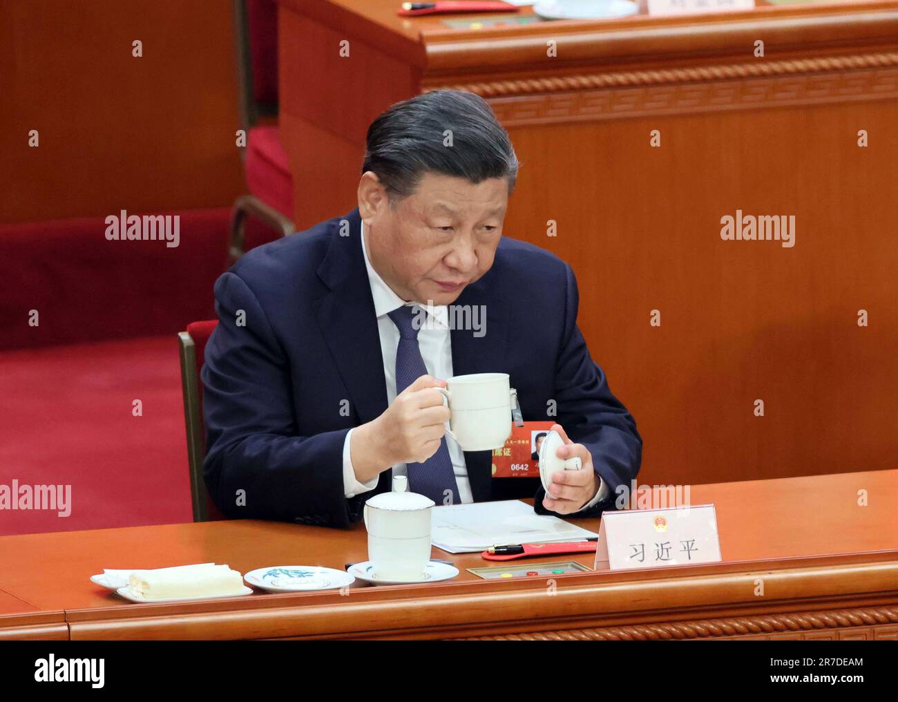 FILE: Chinese President Xi Jinping attends the National People's ...