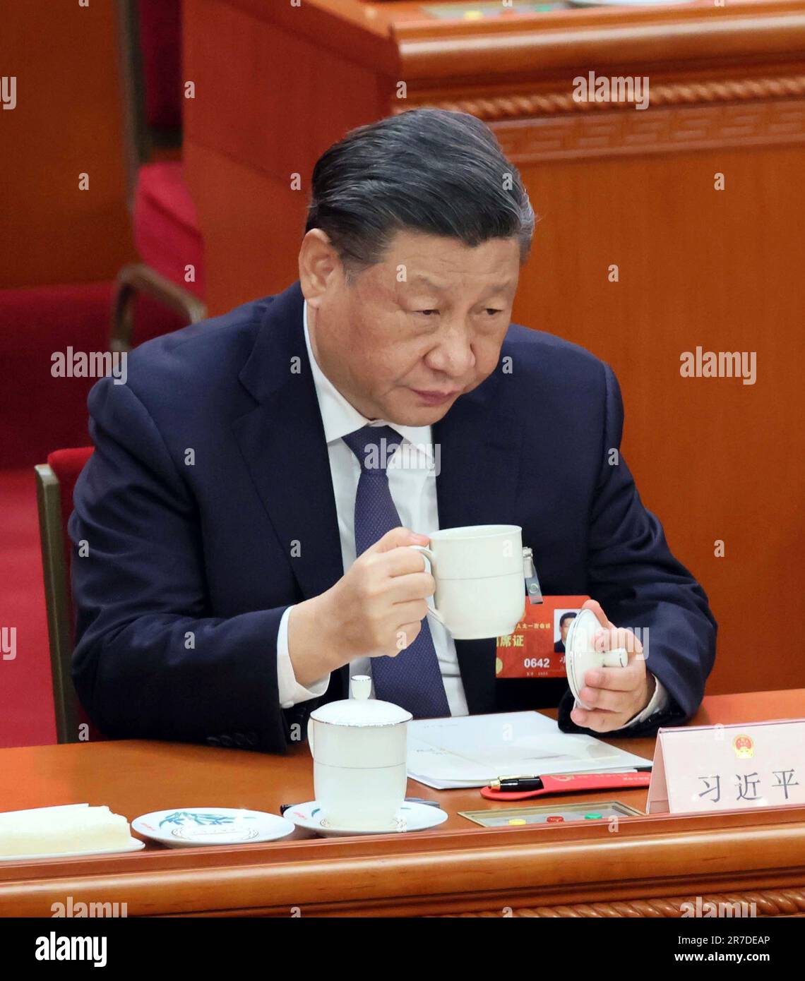 FILE: Chinese President Xi Jinping attends the National People's ...