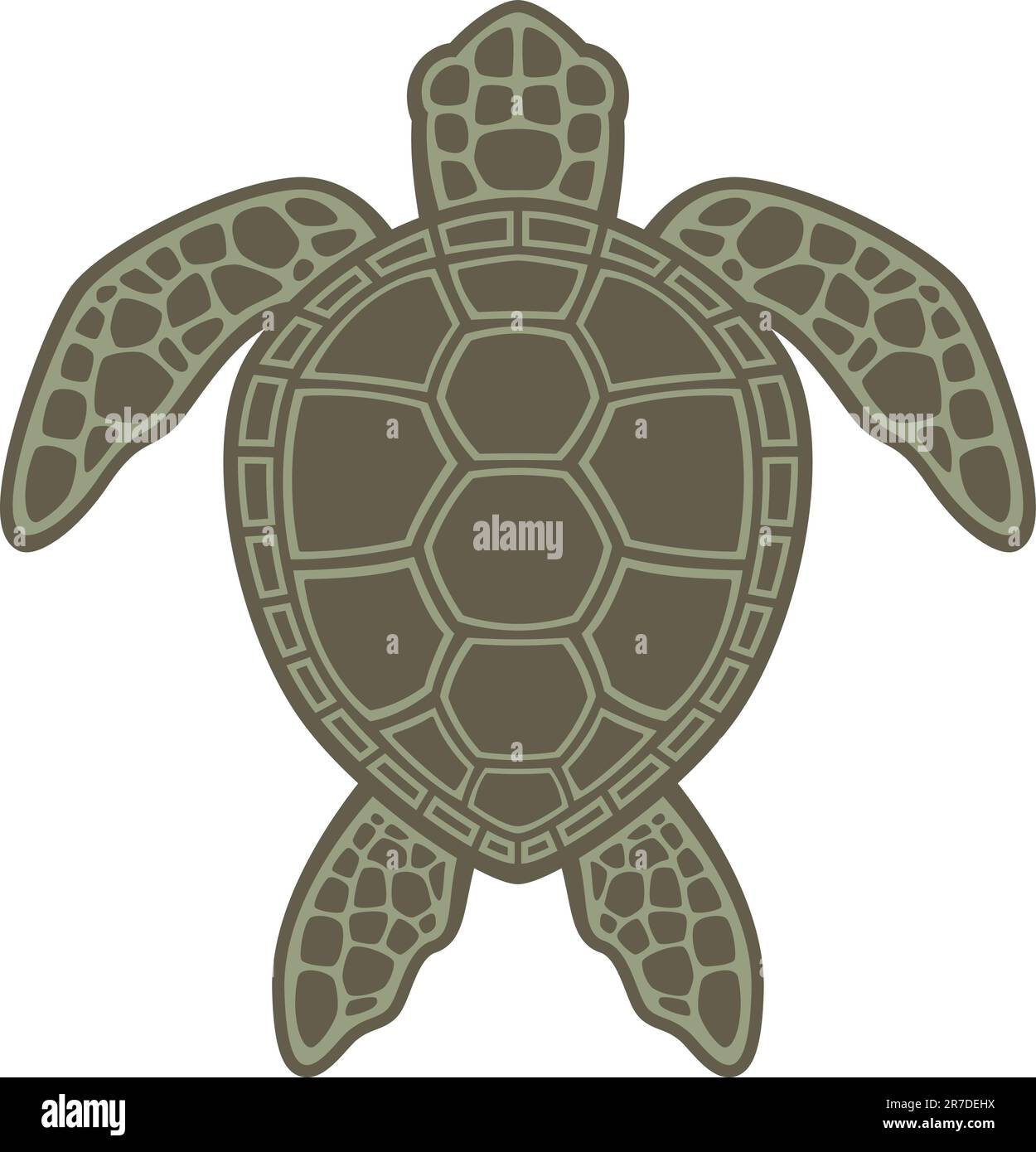 Vector graphic illustration of a Green Sea Turtle Stock Vector Image ...