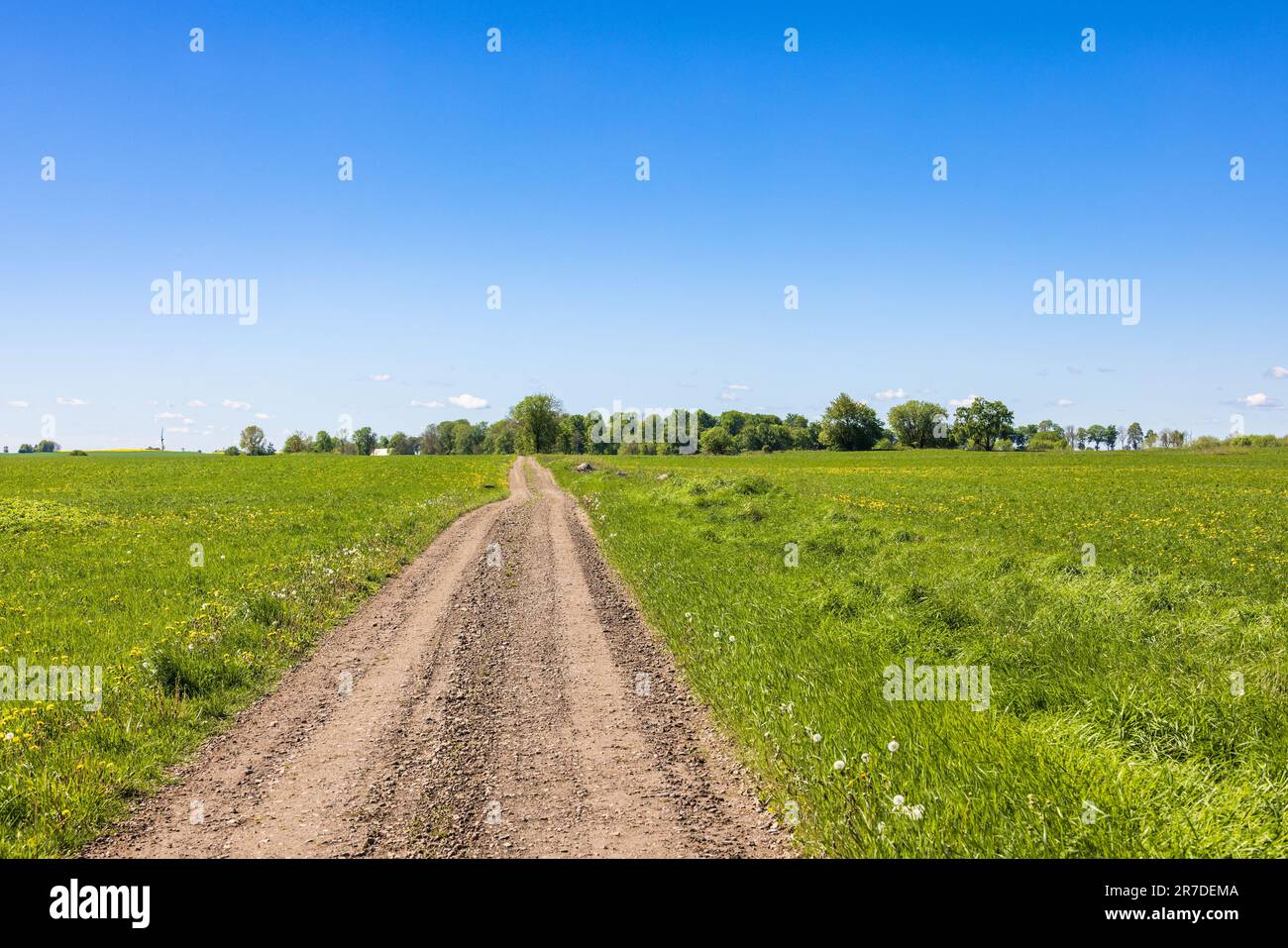Long straight dirt road hi-res stock photography and images - Alamy