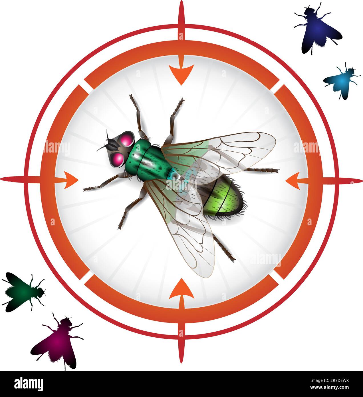 Housefly Stock Vector Images - Alamy