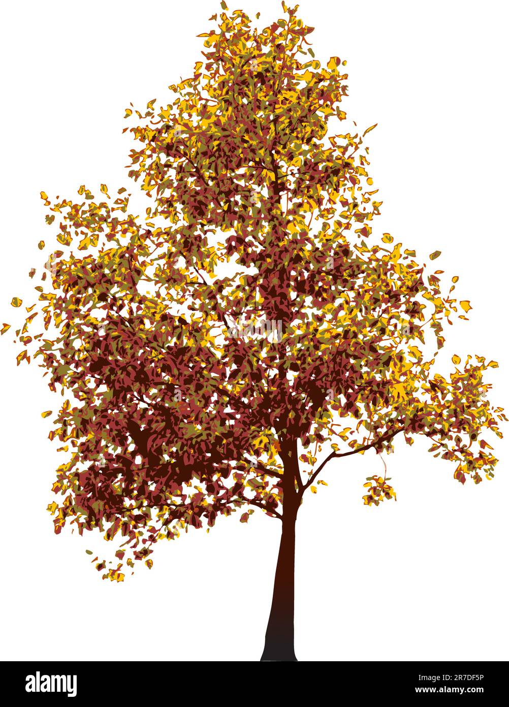 Colorful autumn tree isolated on white background Stock Vector Image ...