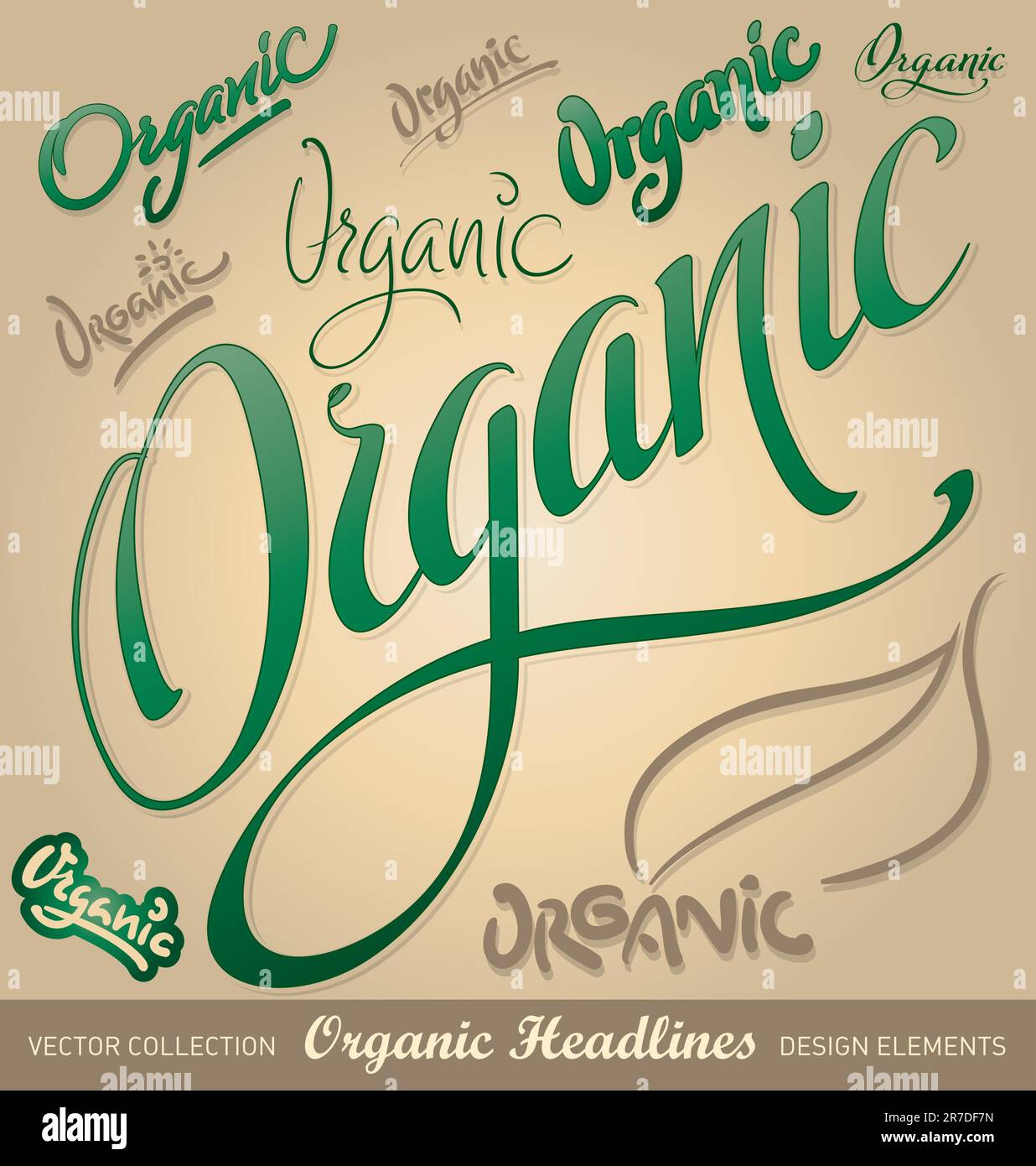 set of organic headlines, hand lettering; scalable and editable vector ...