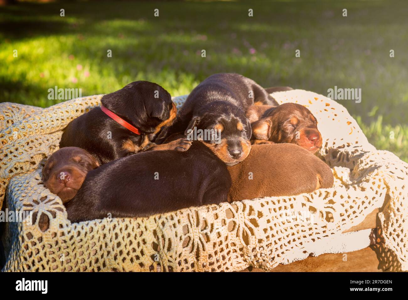 Cuddle up warm to keep warm hi-res stock photography and images - Alamy