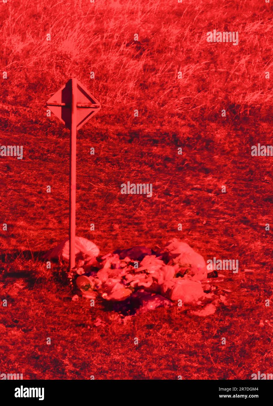 Post-Apocalypse. Sign in wilderness (probably written poisoned earth ...