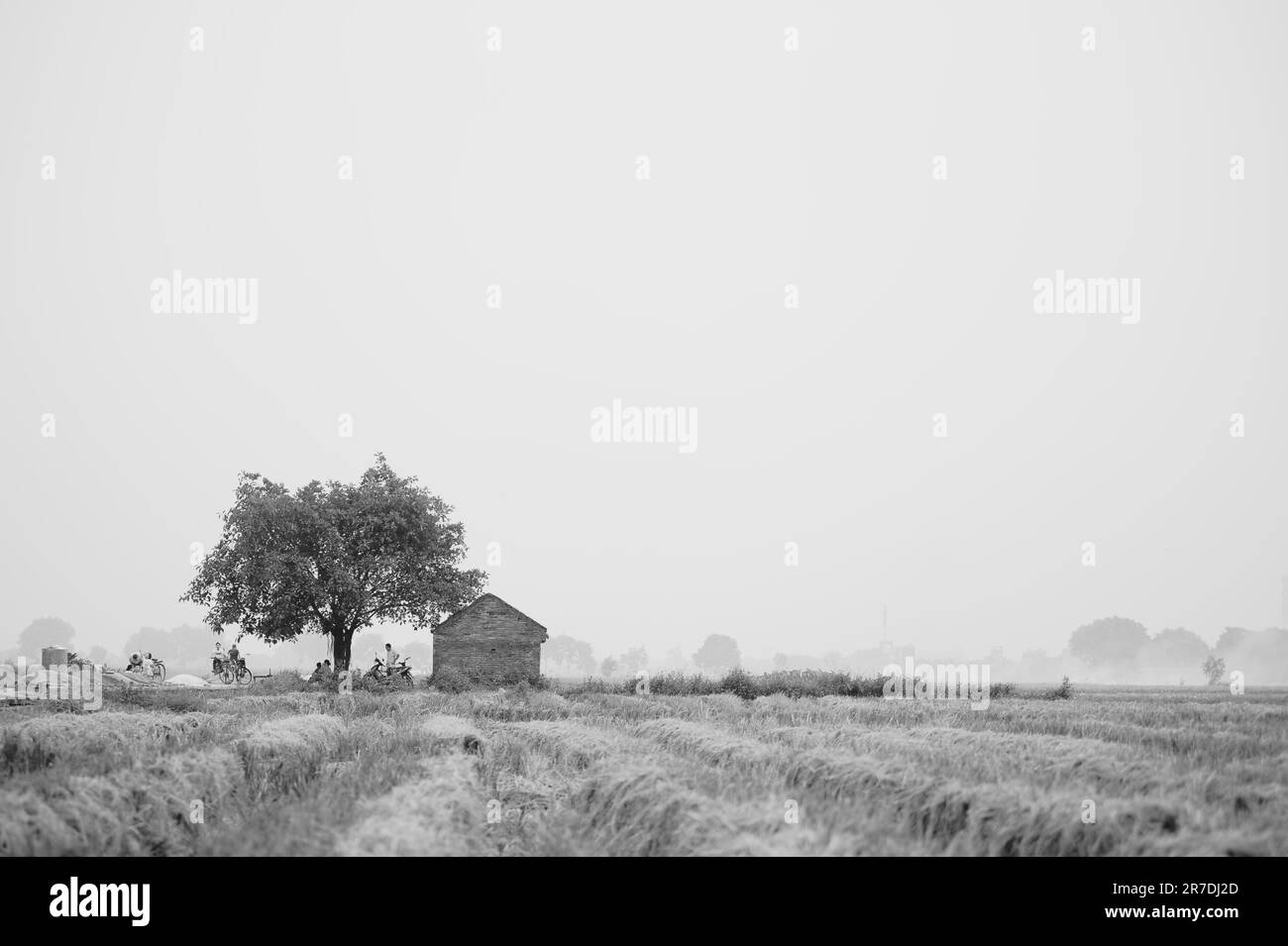 Black and white countryside Stock Photo - Alamy