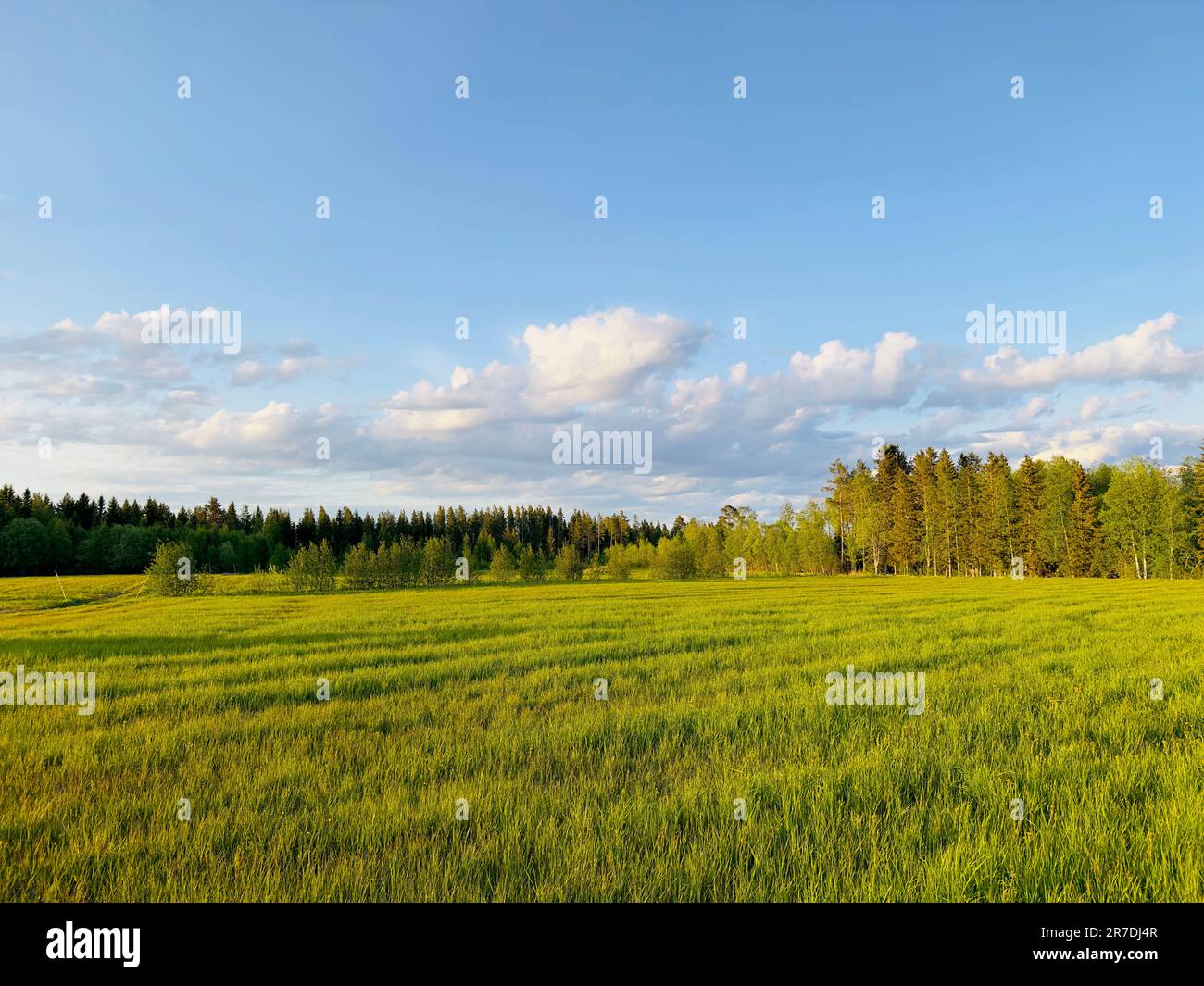 Spring landscape in a village in north Sweden Stock Photo - Alamy