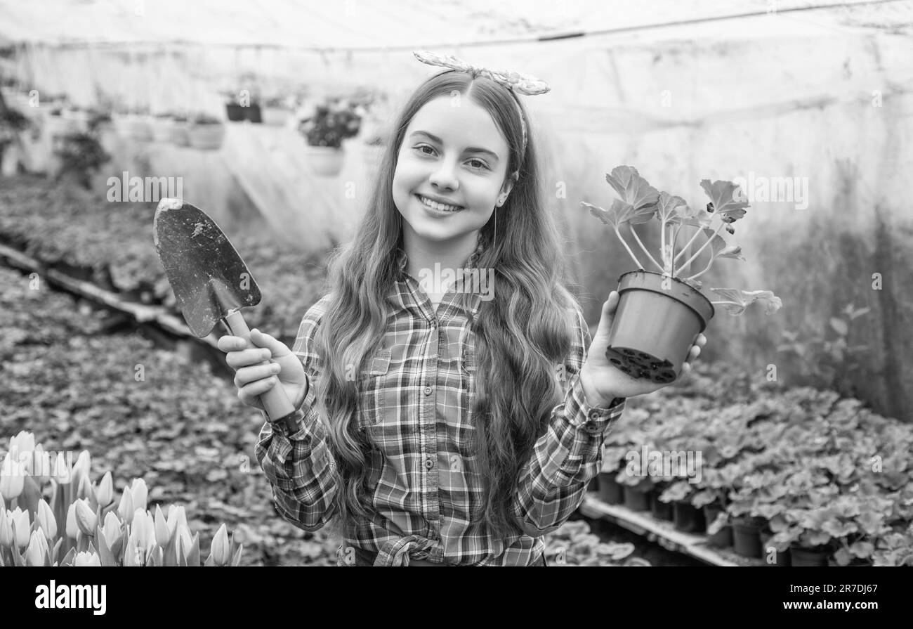 lets work. flowers in garden. daily chores. flower care. horticulture ...