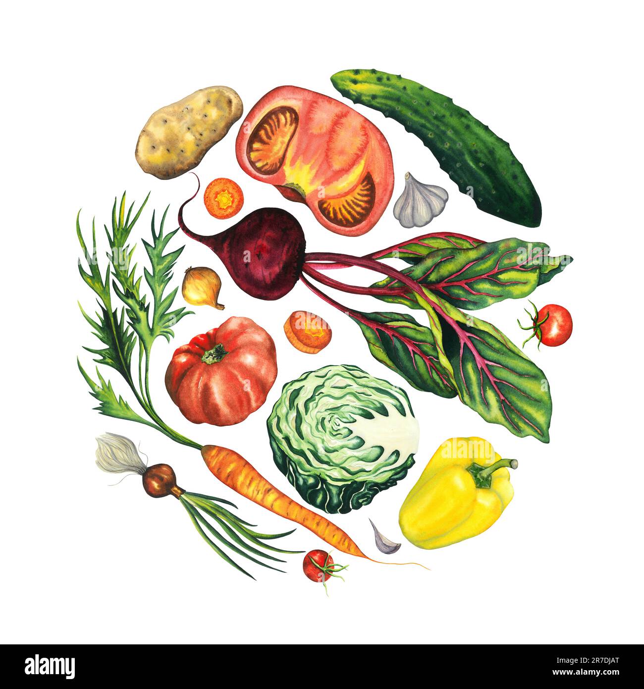 Hand drawn vegetable set of isolated beetroot, carrot, tomato, potato ...